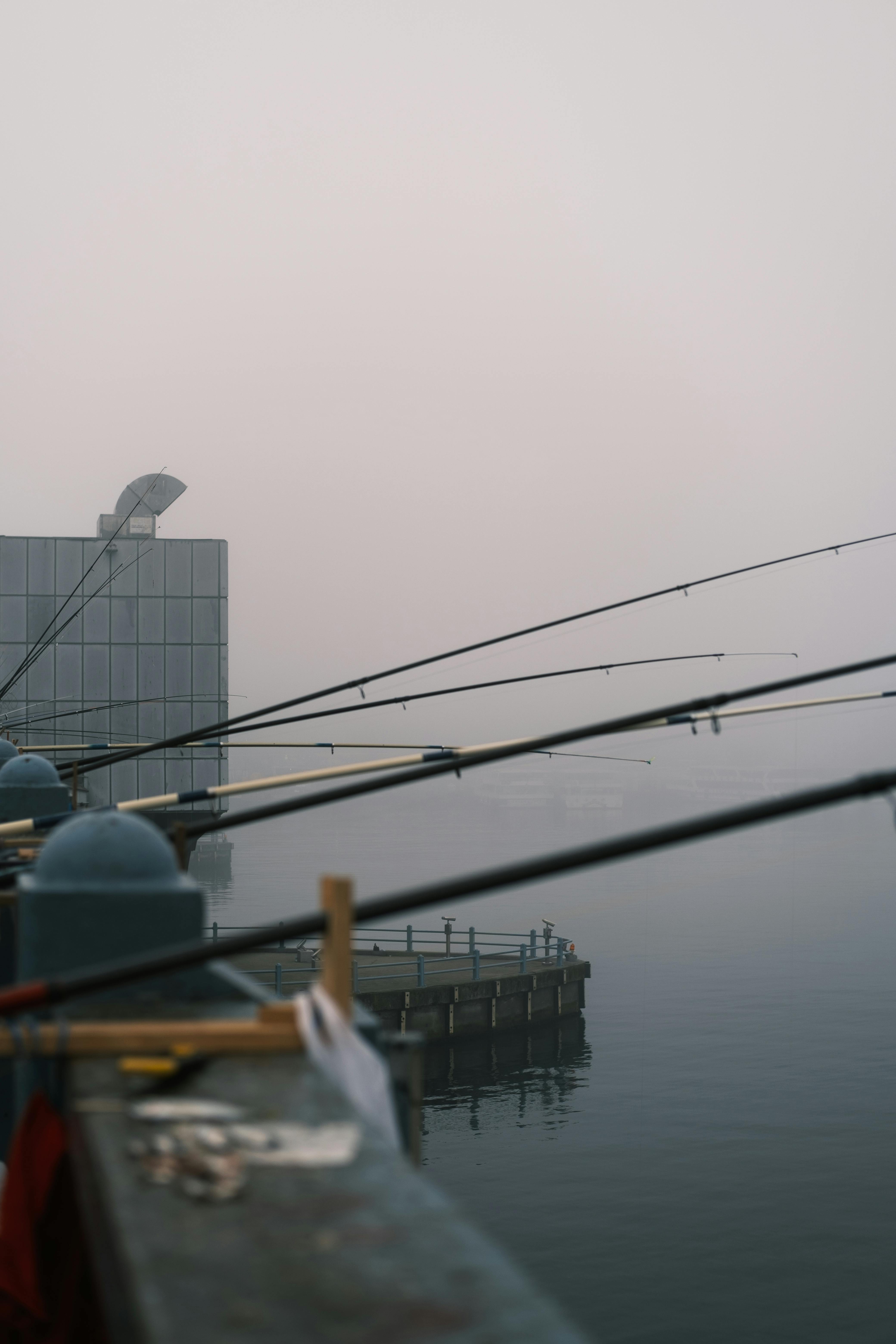 A Man Leaning on the Railings · Free Stock Photo