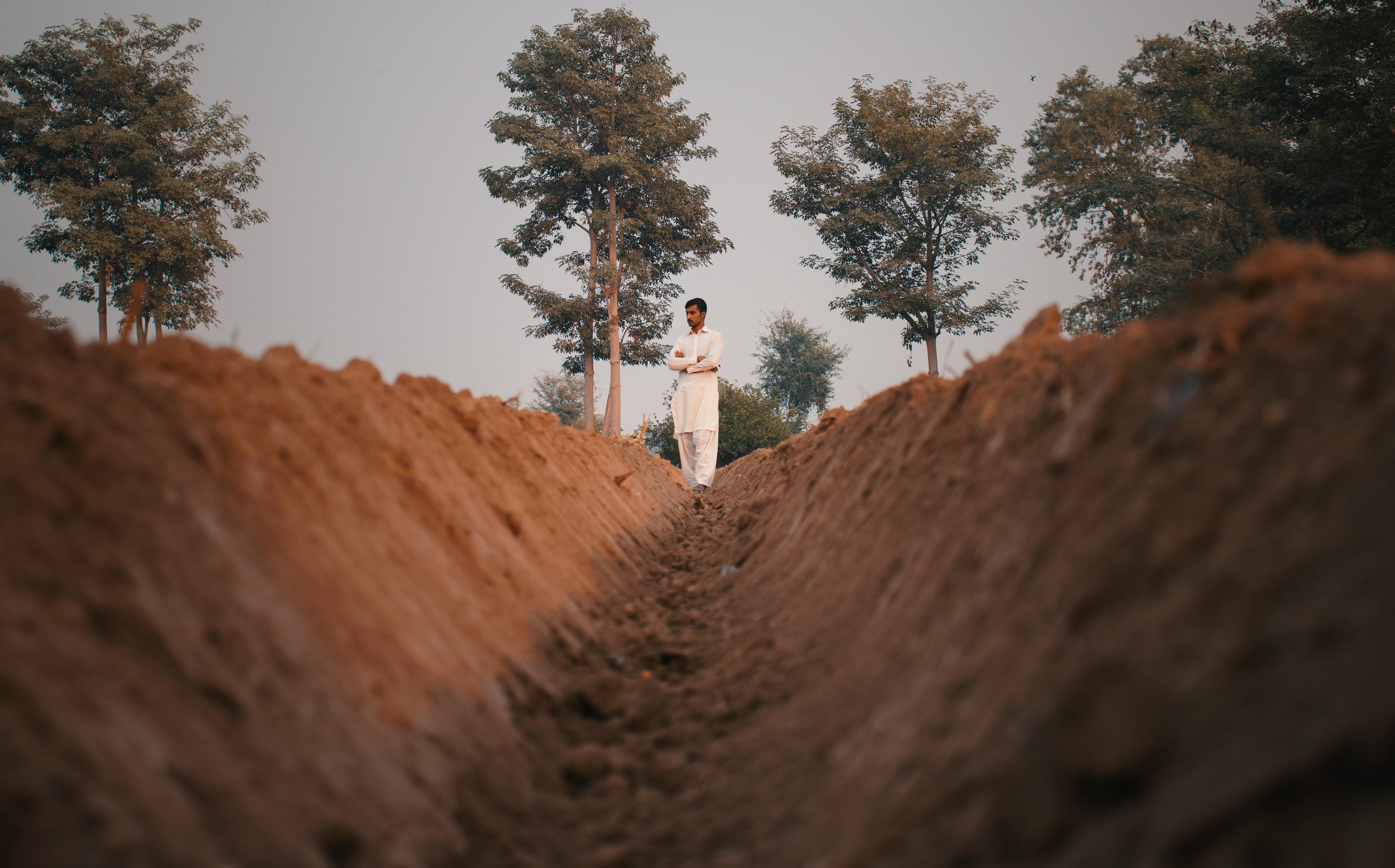 Low-Angle Shot of Forest Ground · Free Stock Photo