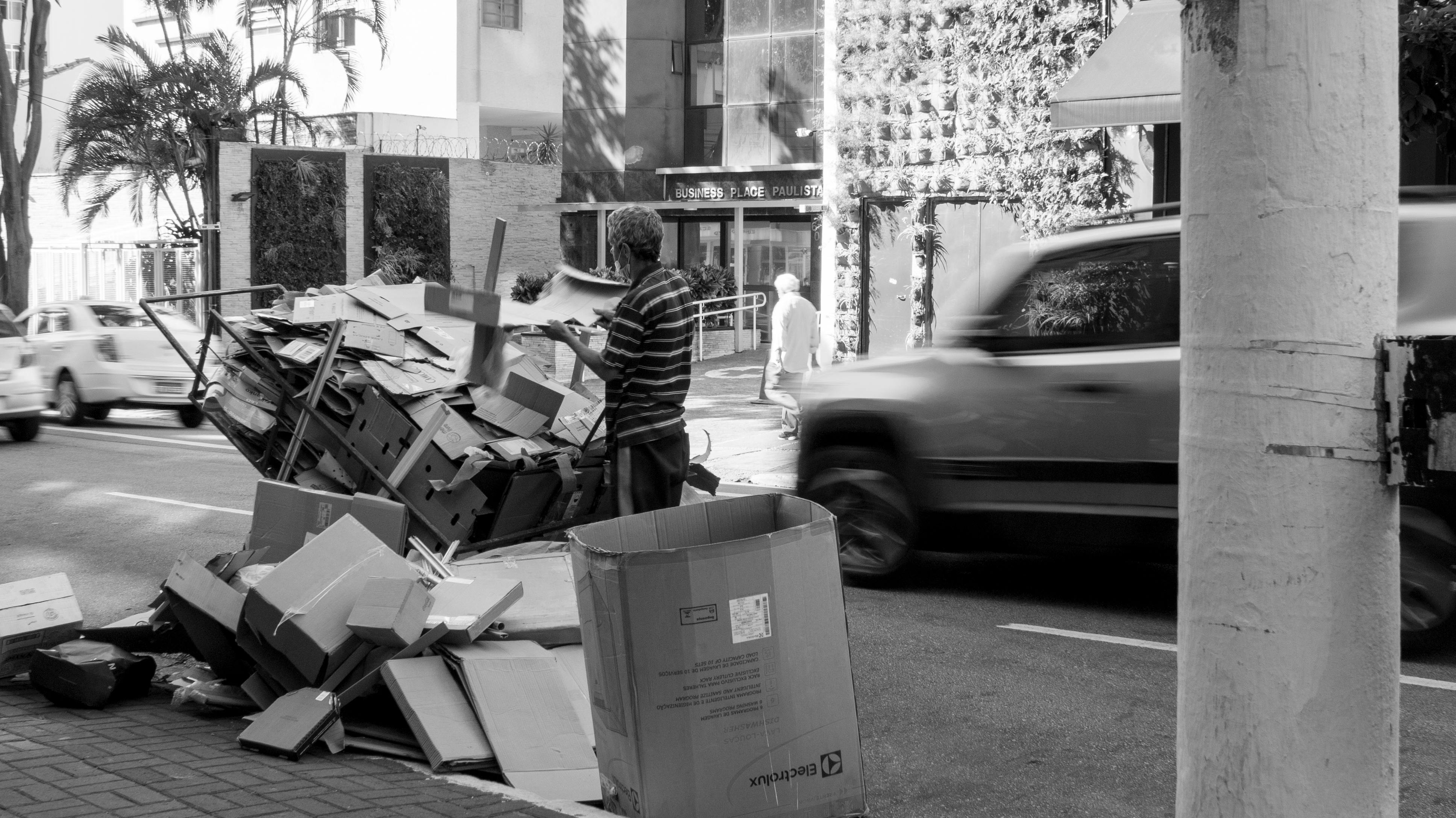 5,000+ Best Collecting Photos · 100% Free Download · Pexels Stock Photos