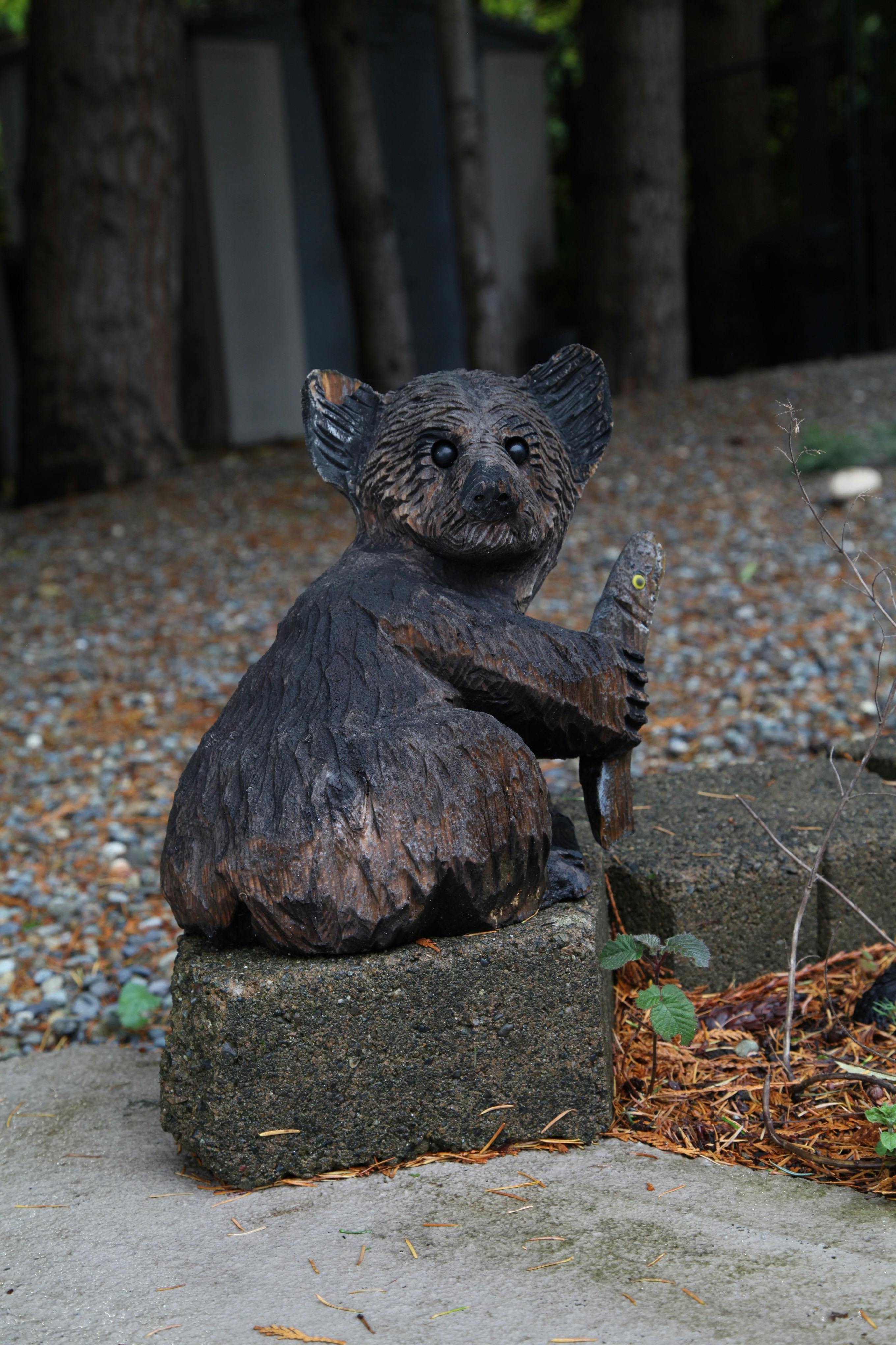 Koala Animal At Work Photos, Download The BEST Free Koala Animal At ...