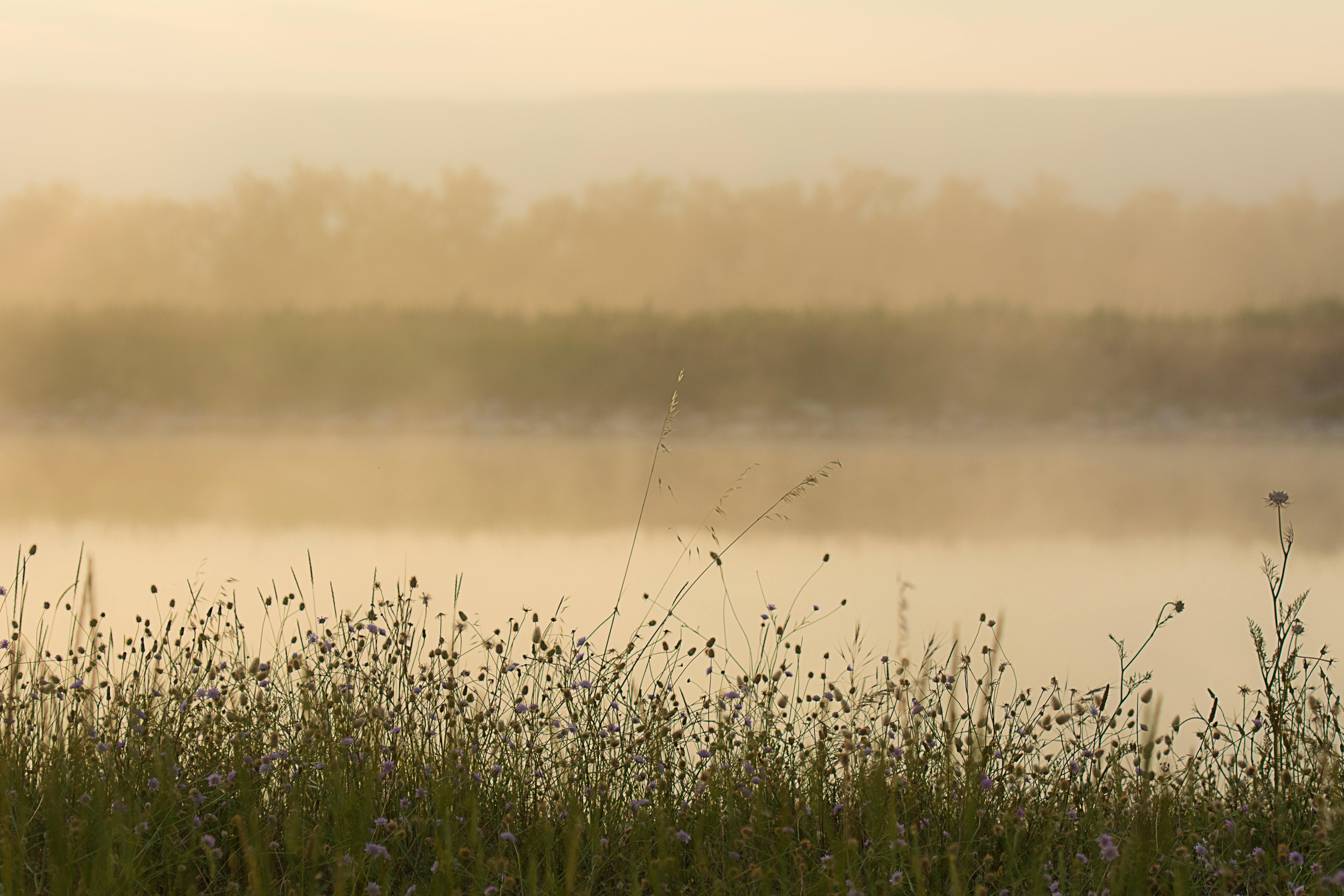 Moment Damp Photos, Download The BEST Free Moment Damp Stock Photos ...