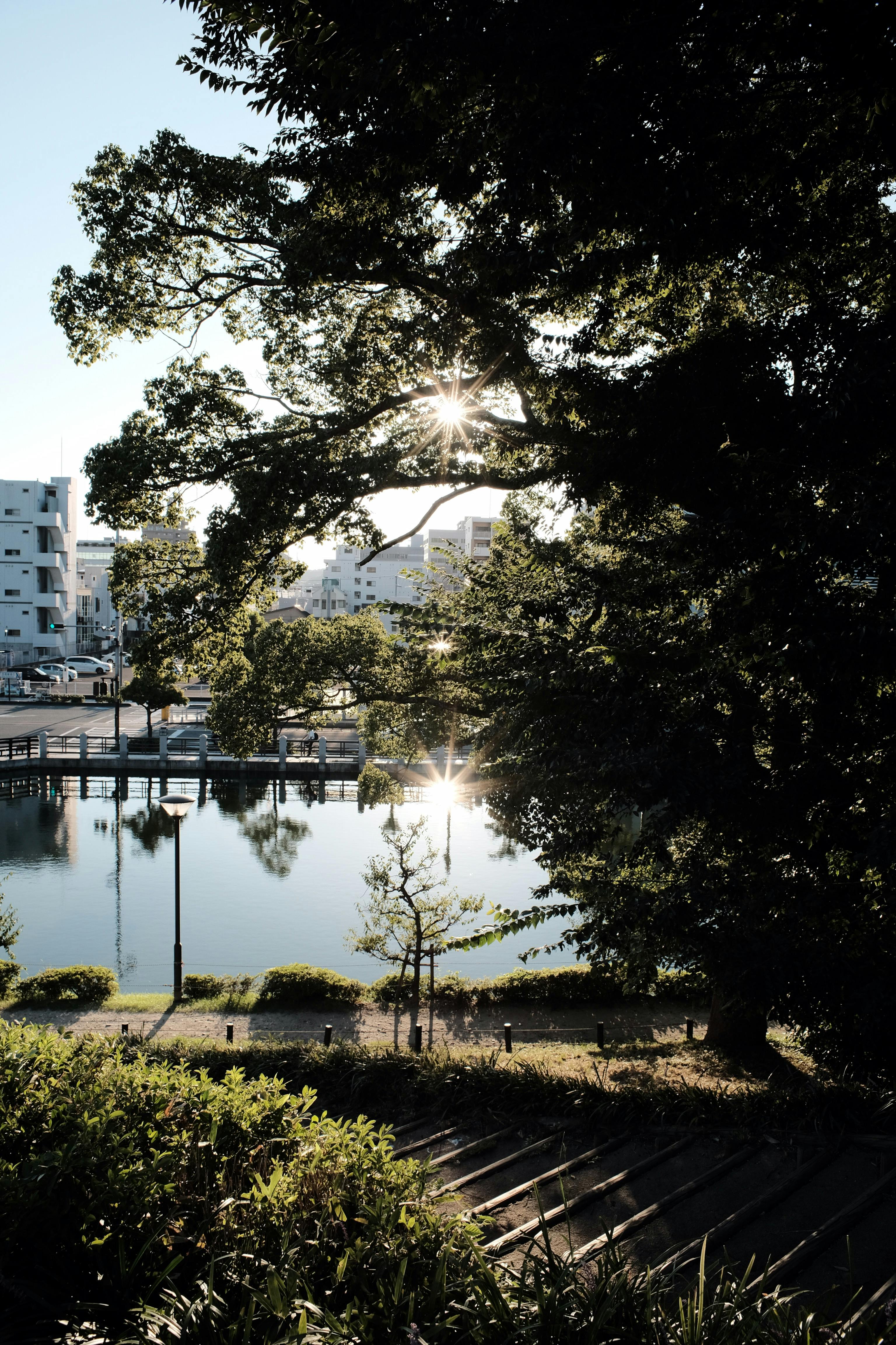Kashmir Greenery Photos, Download Free Kashmir Greenery Stock Photos ...