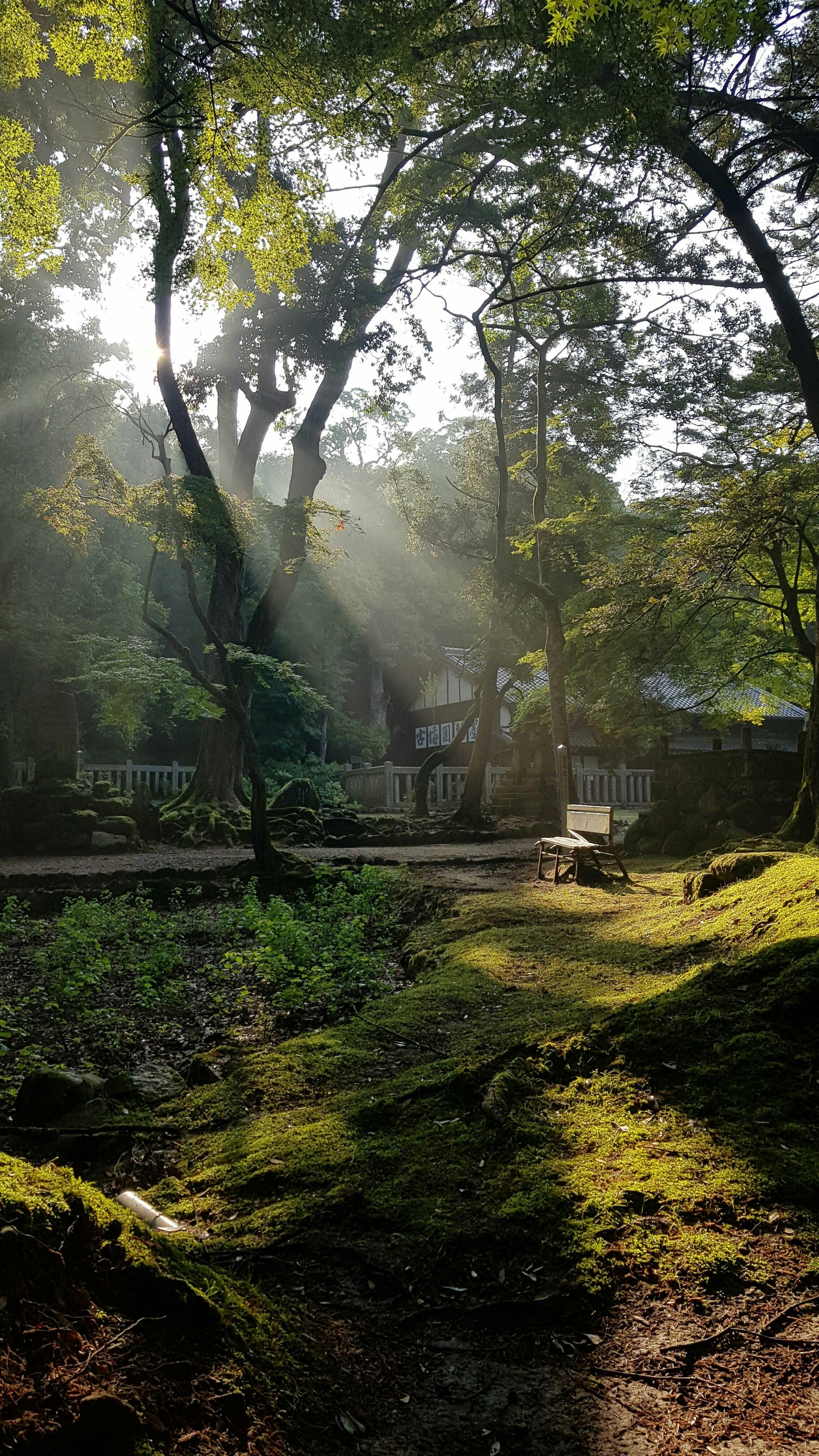 600+ Best Easy Photos · 100% Free Download · Pexels Stock Photos