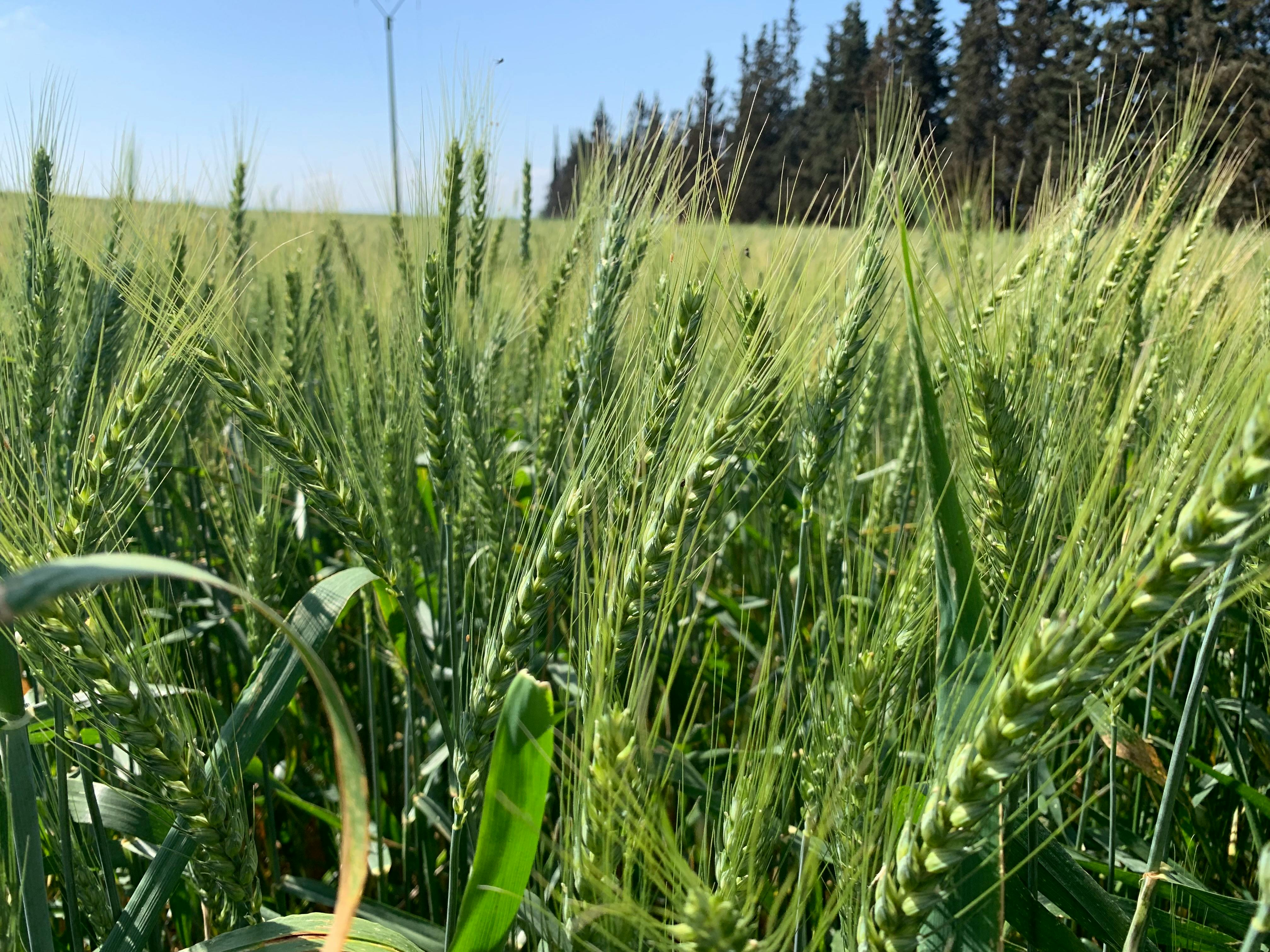 Mehdi Alaoui - Photographie