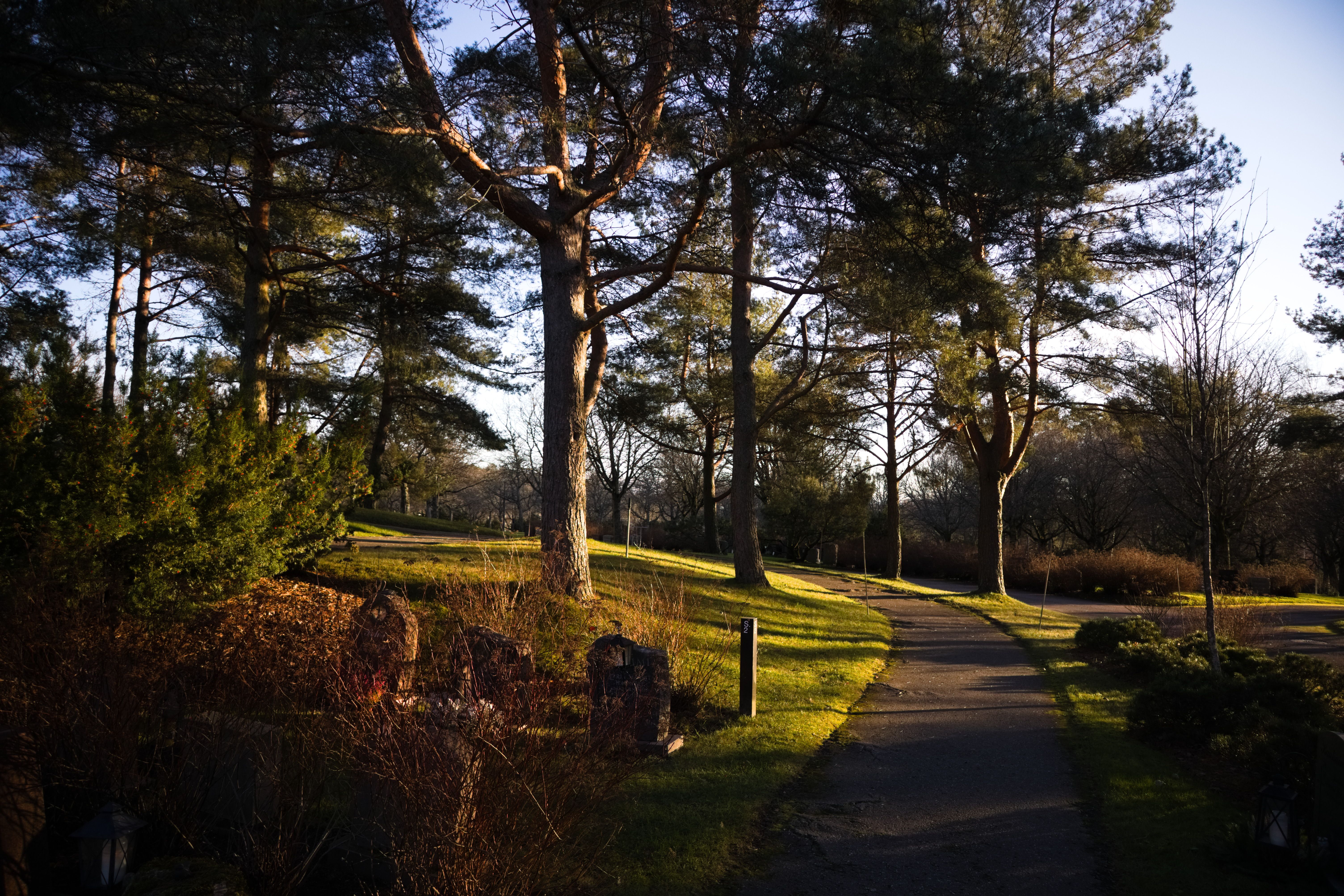 Sunny Trail in Park · Free Stock Photo