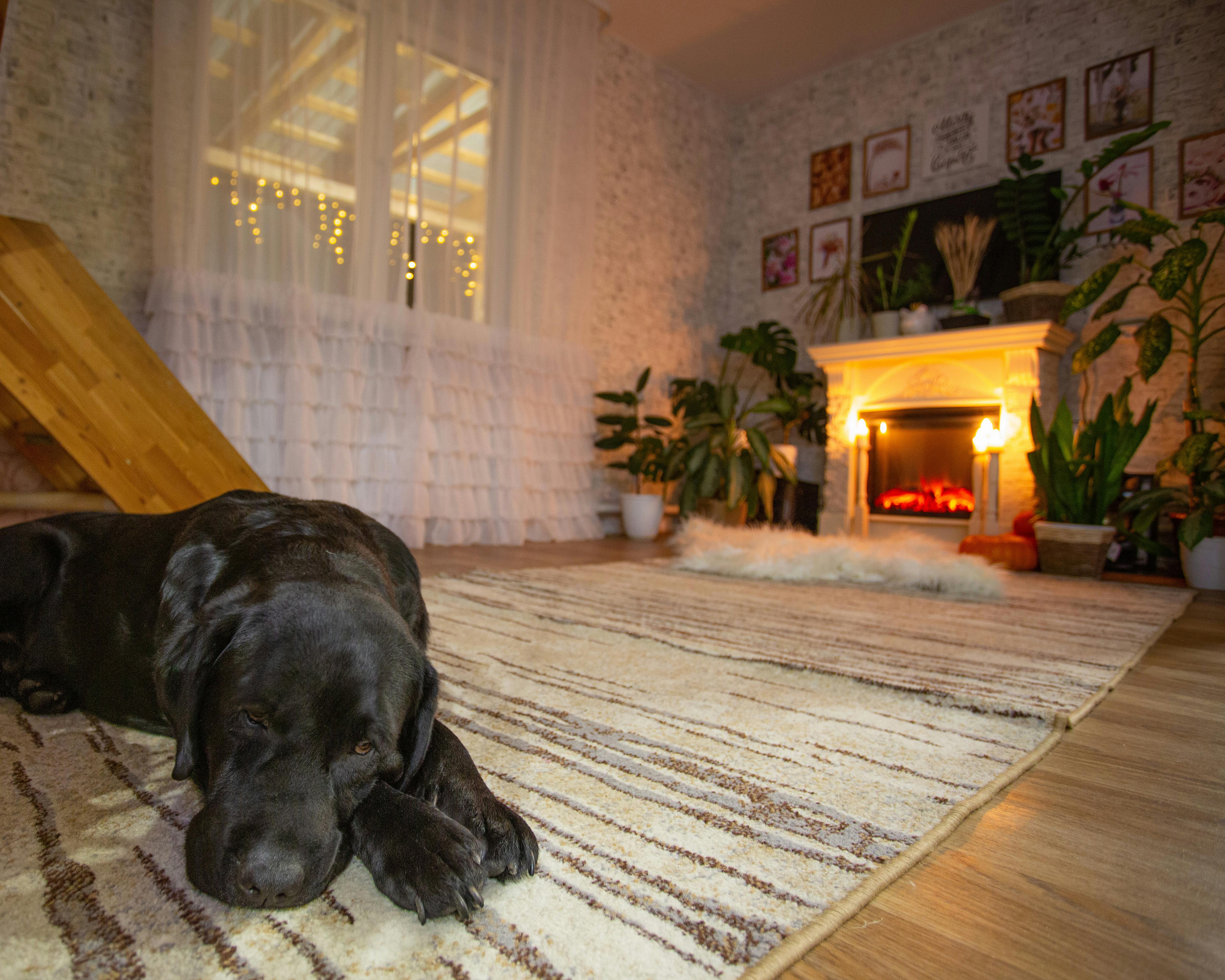 Havels Loyed Photos, Download The BEST Free Havels Loyed Stock Photos ...