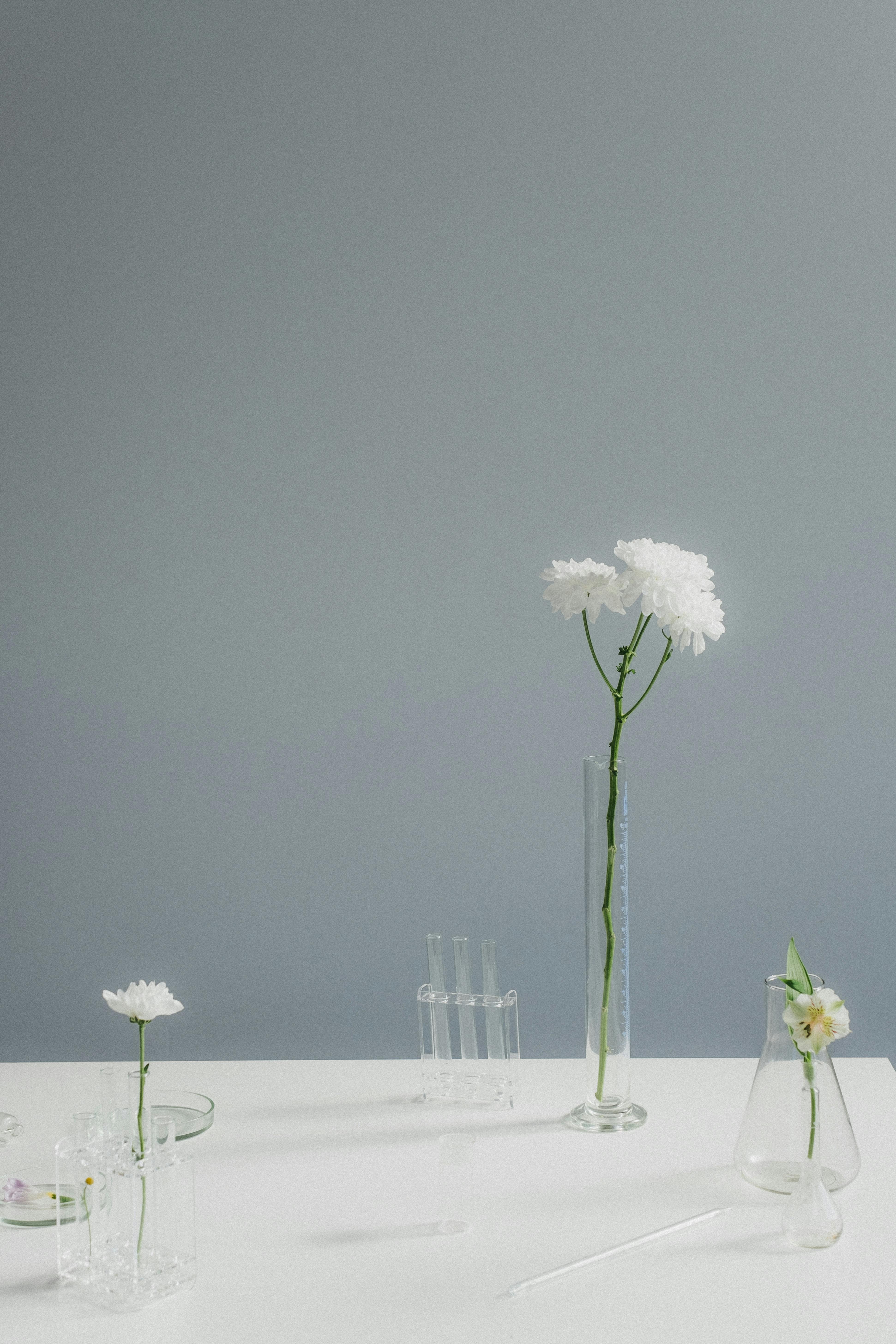 Lab Walls Photos, Download The BEST Free Lab Walls Stock Photos & HD Images