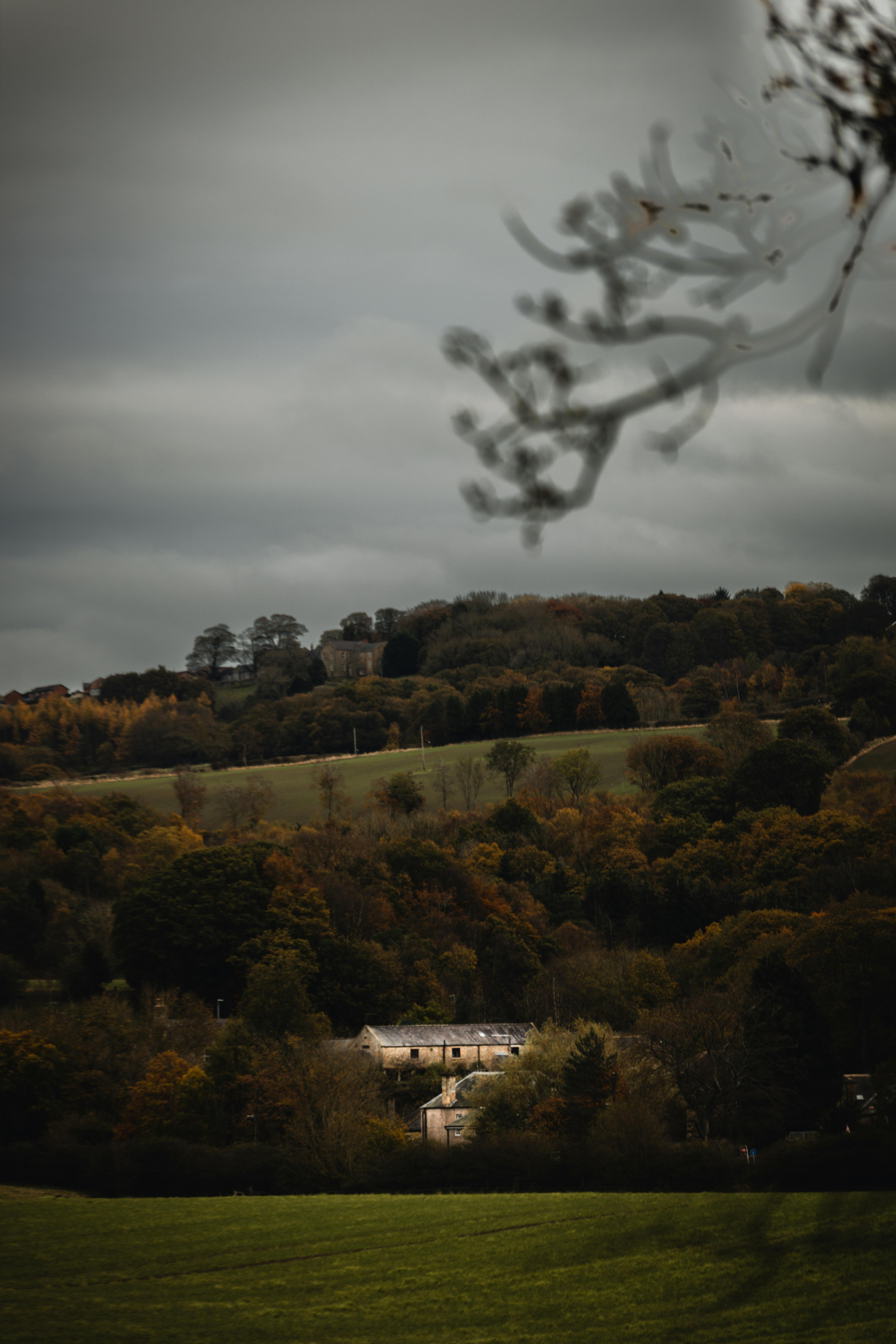 Building between Trees · Free Stock Photo