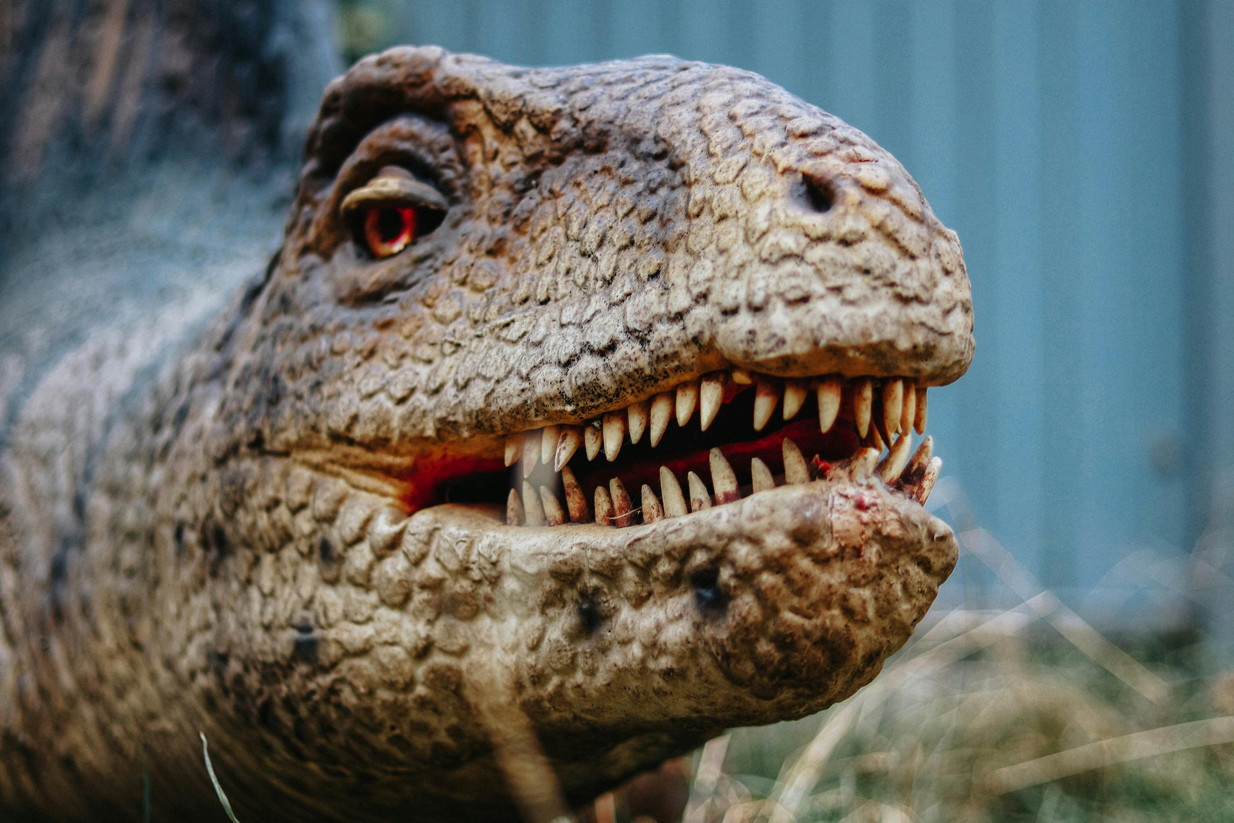 Dinosaur Head Photos, Download The BEST Free Dinosaur Head Stock Photos ...