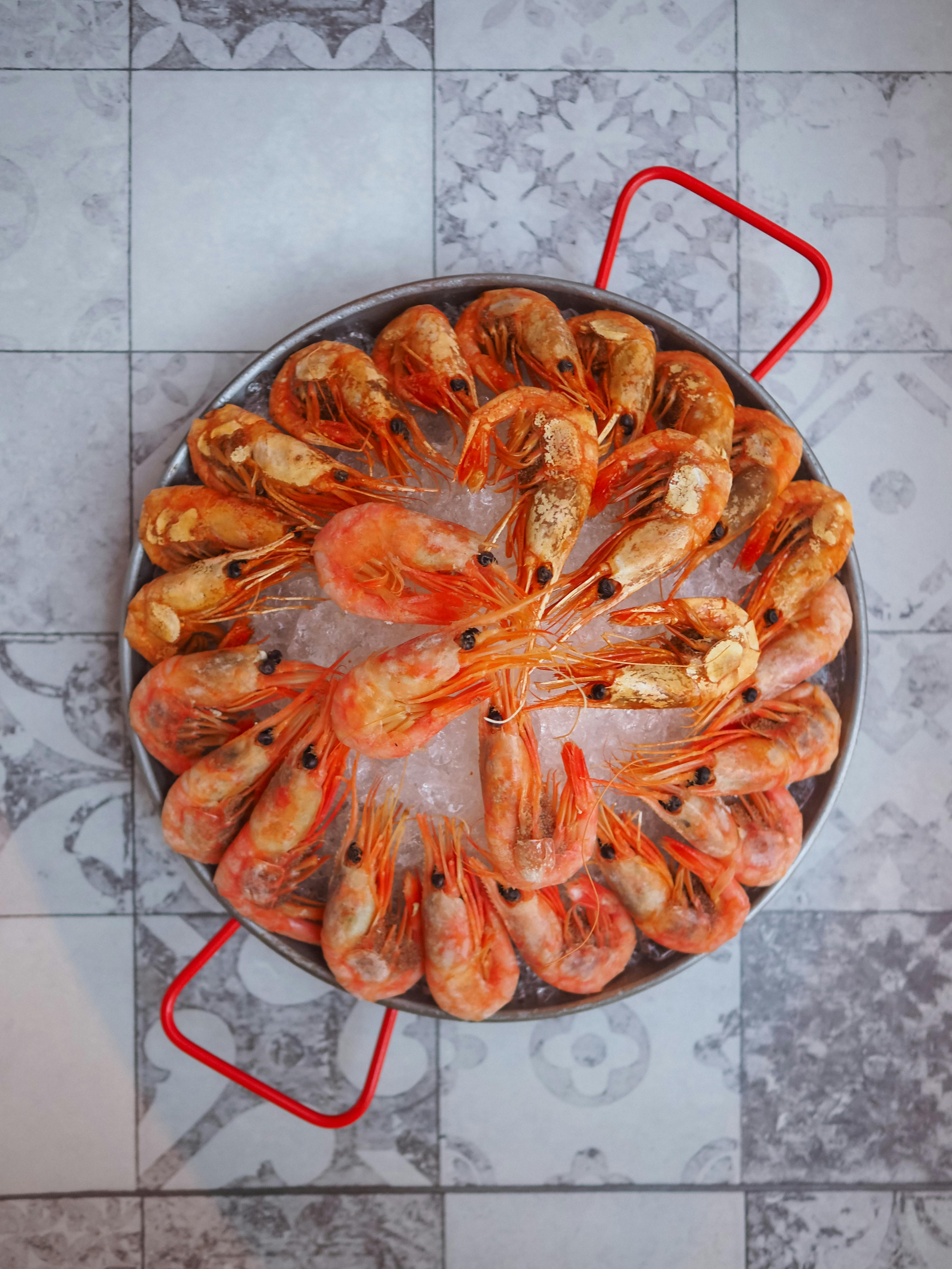 Orange Prawns on Silver Pan · Free Stock Photo