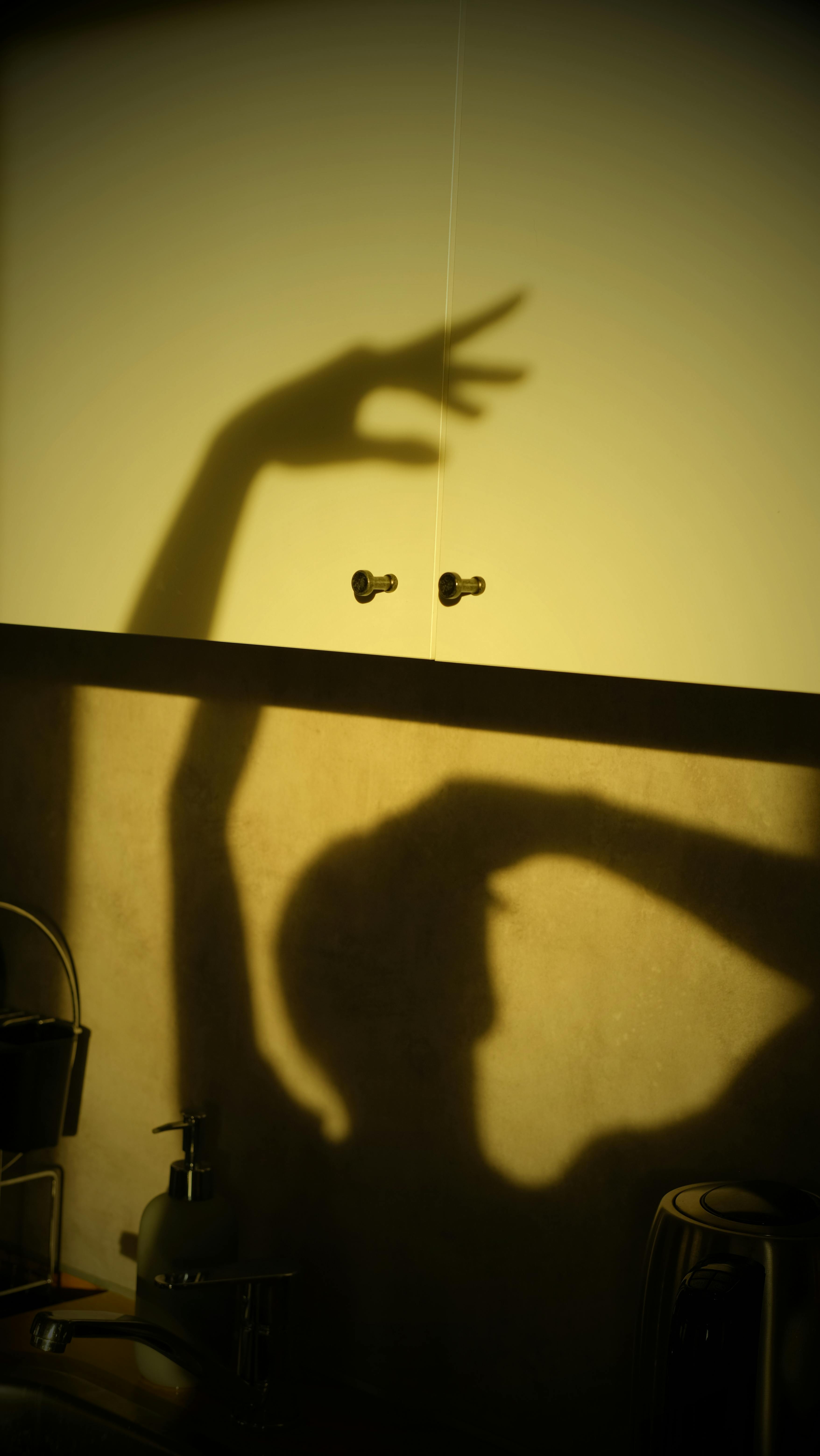 Persons Shadow on Wall · Free Stock Photo
