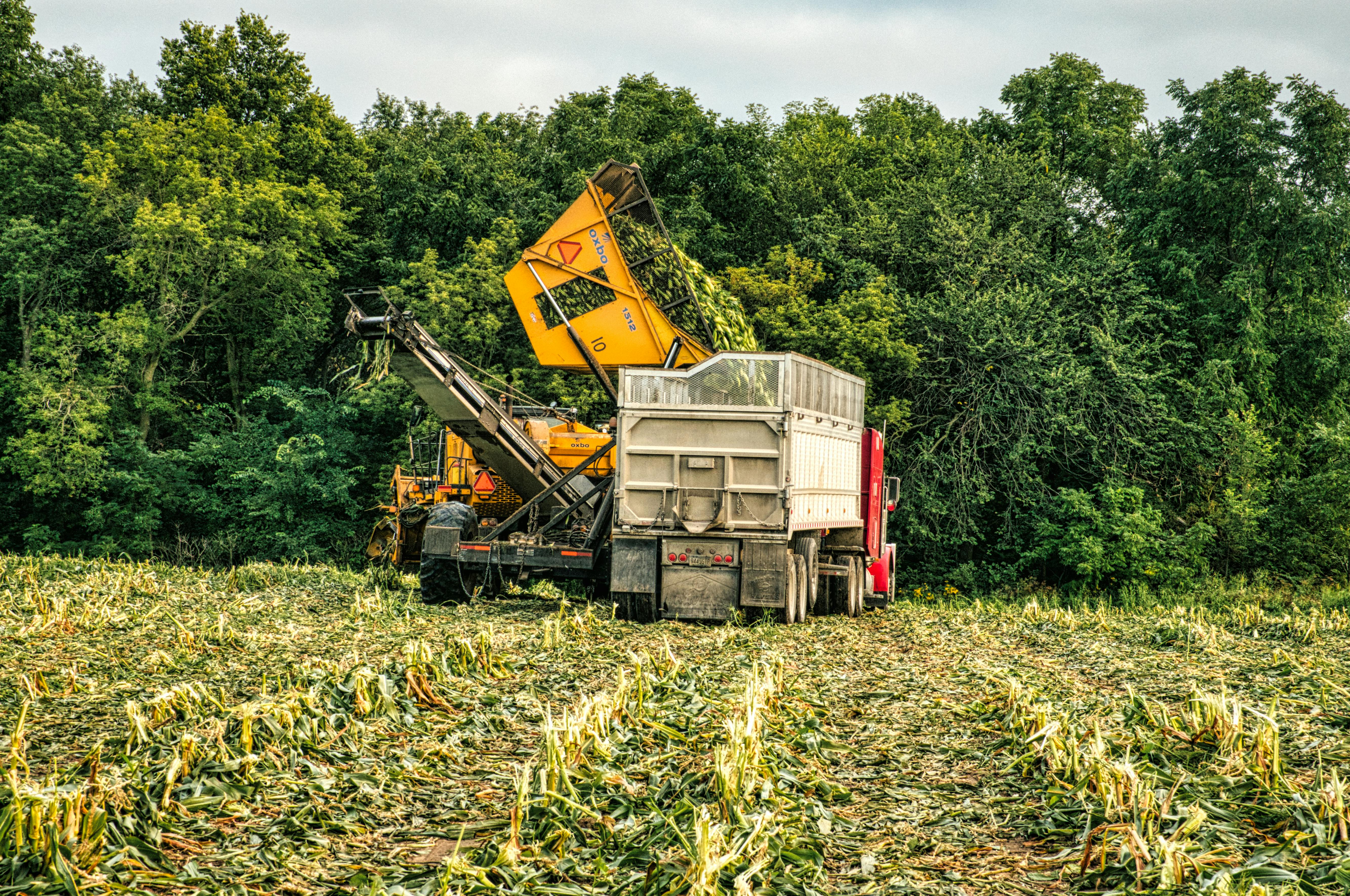Tractor Loaded with Harvested Corn on Green Grass Field · Free Stock Photo