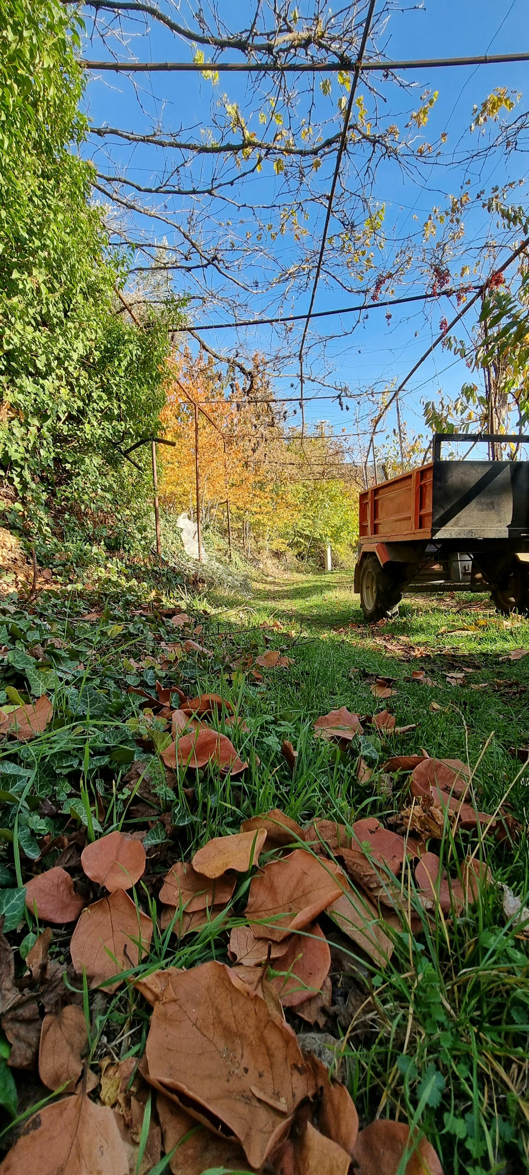 Doğa 4 Photos & Videos Collected by Ahmet Akdel