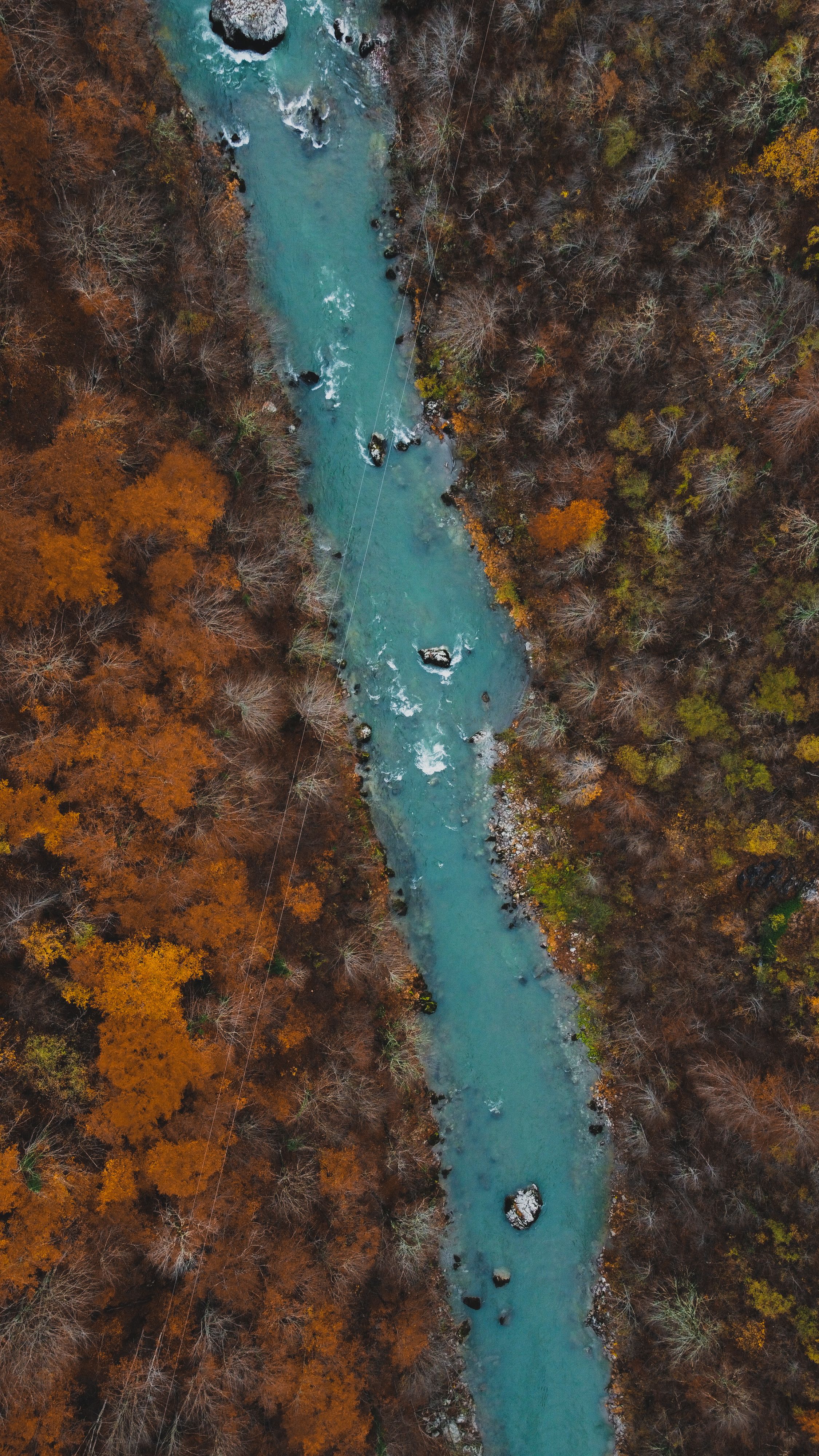 River in Between Brown Trees · Free Stock Photo