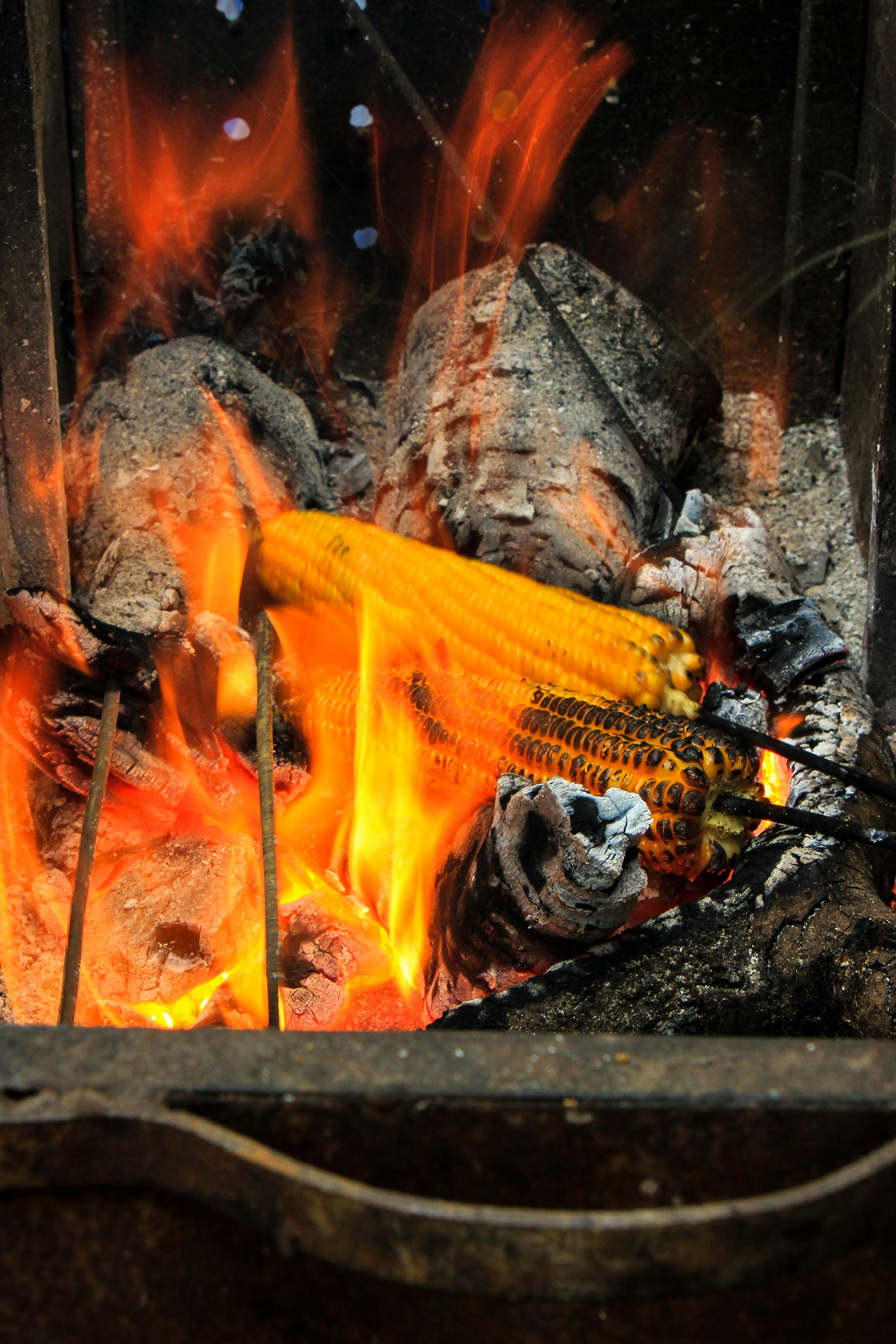 Fire Roast Corn · Free Stock Photo