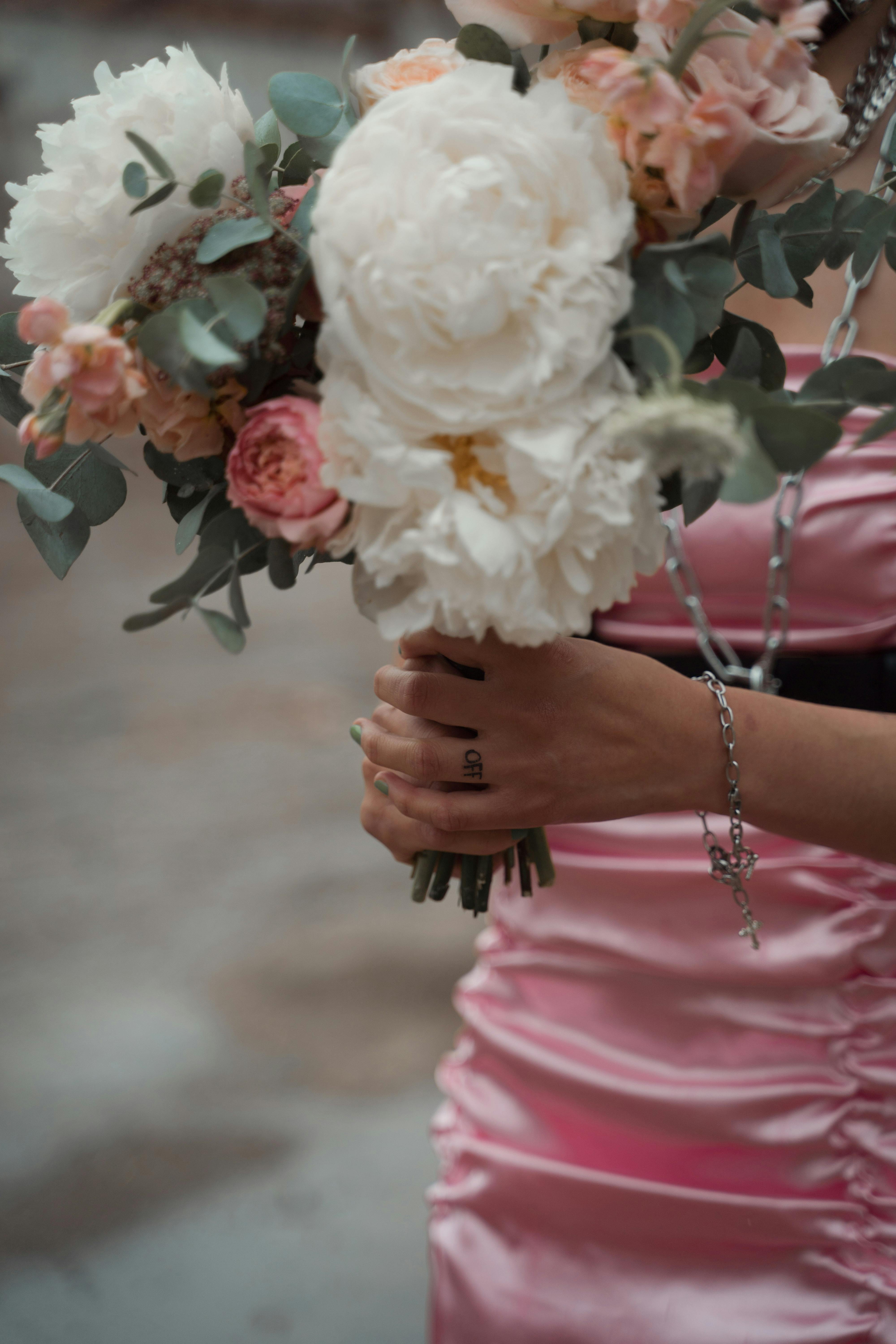 Silver Starlets Shiki Pink Photos, Download The BEST Free Silver ...