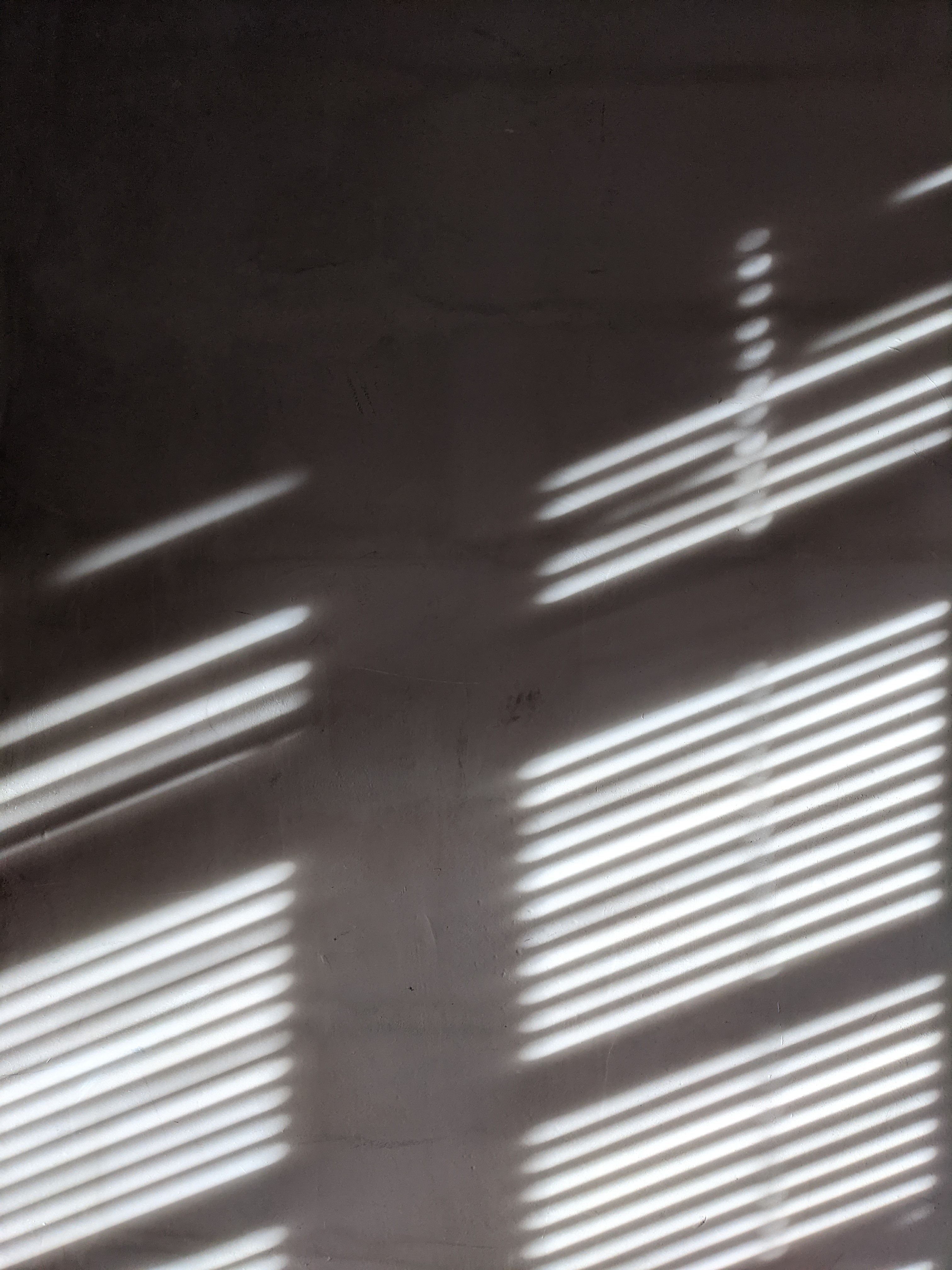 White Wall with Sunlight and Tree Shadows · Free Stock Photo