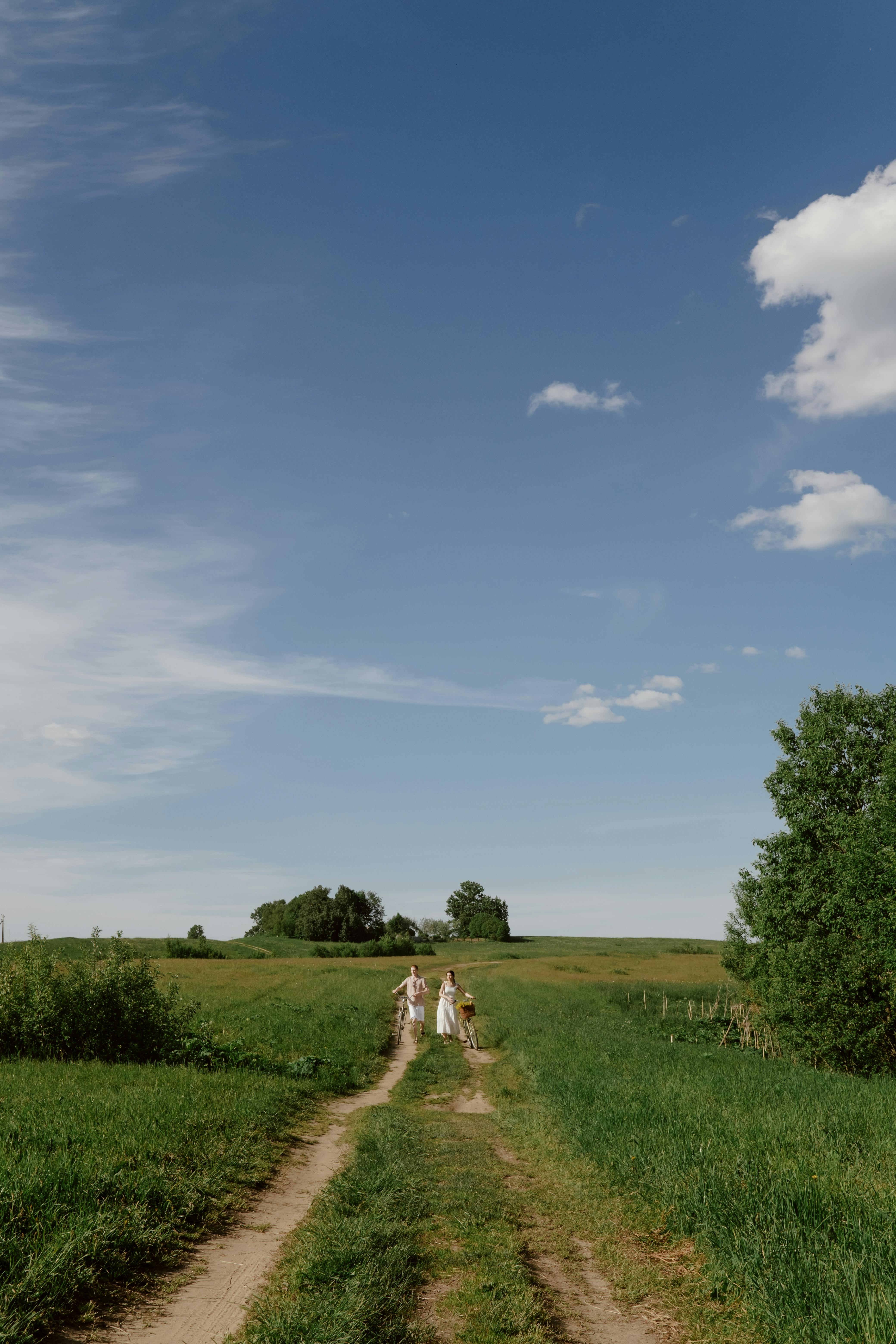 Walking Track Photos, Download The BEST Free Walking Track Stock Photos ...