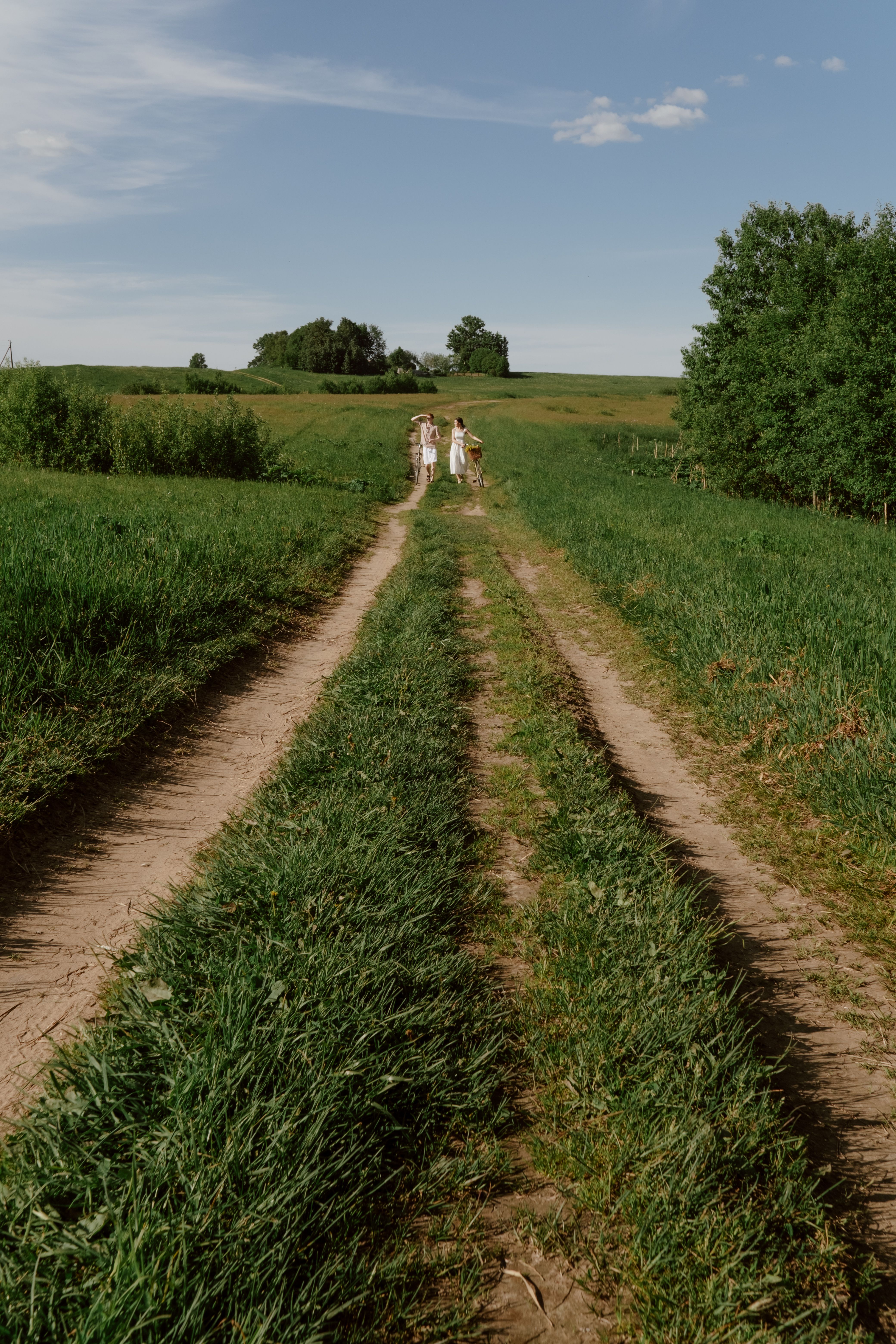 Farm Goals Photos, Download The BEST Free Farm Goals Stock Photos & HD ...