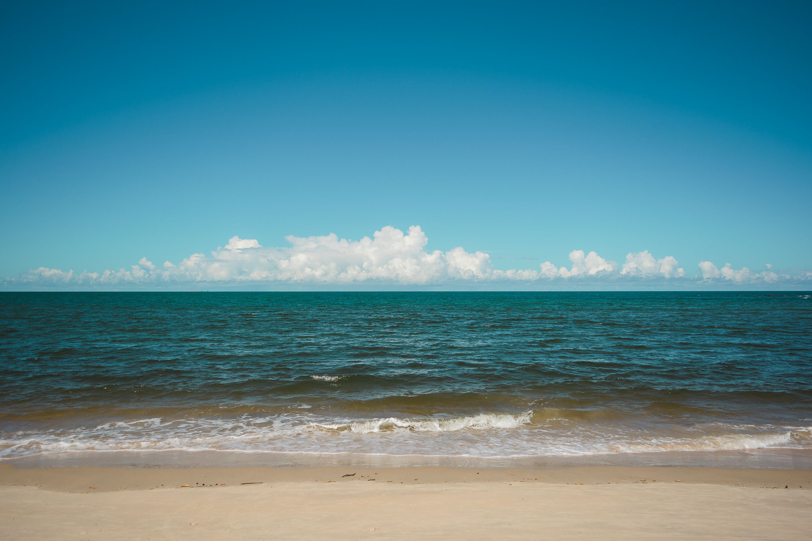 People at Seashore · Free Stock Photo