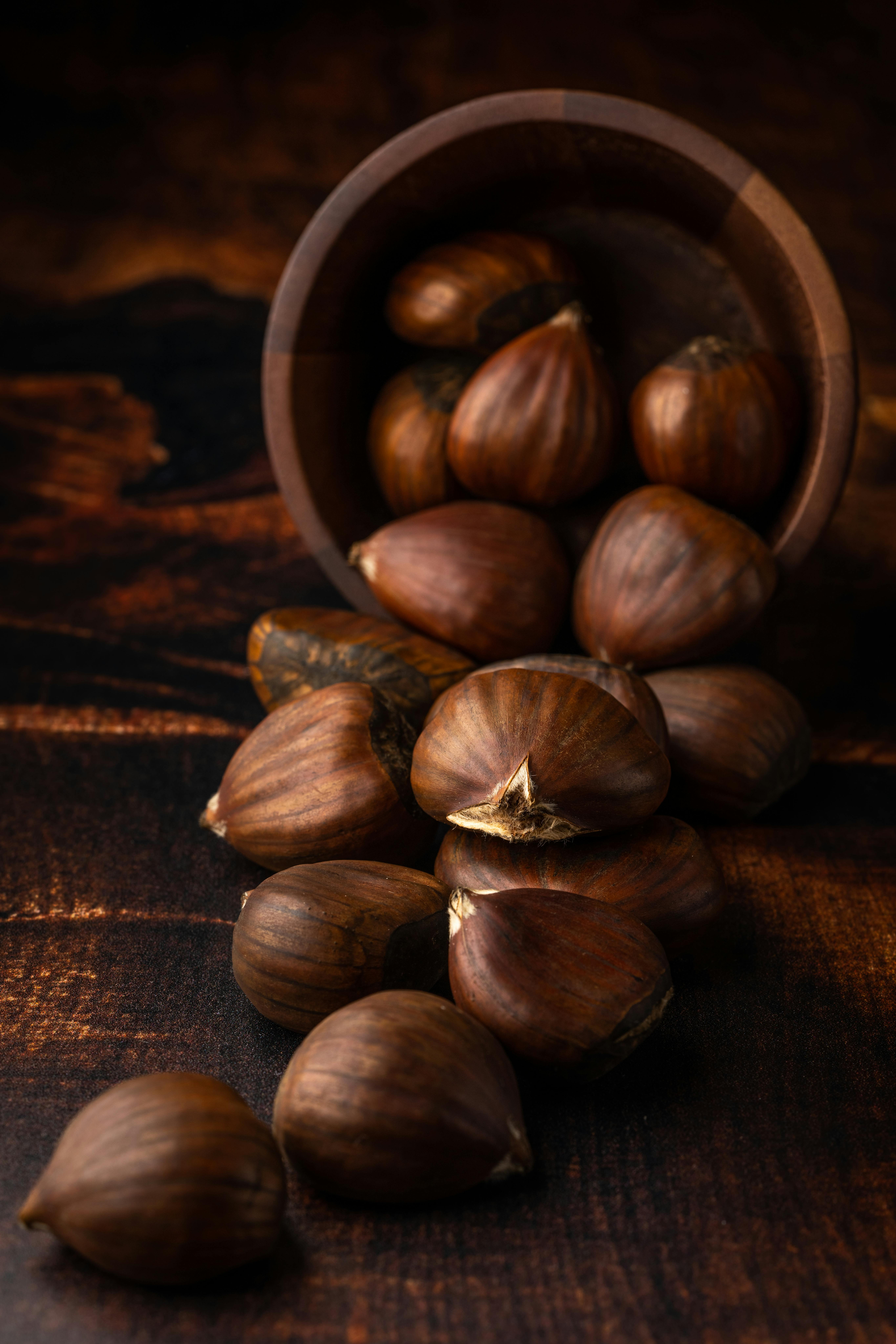 Photo of Person Holding Chestnuts · Free Stock Photo