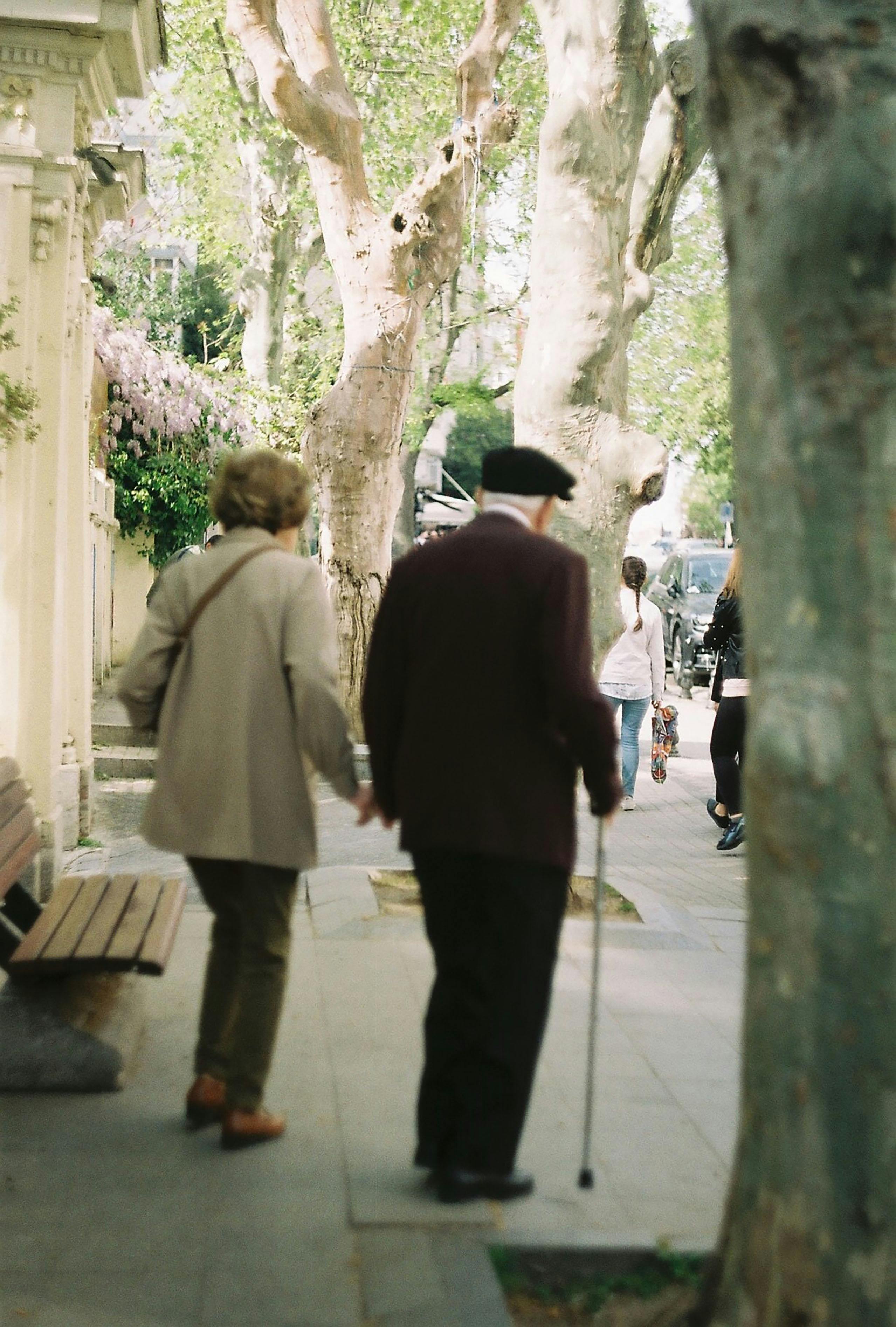 Rear View on Elderly Couple · Free Stock Photo