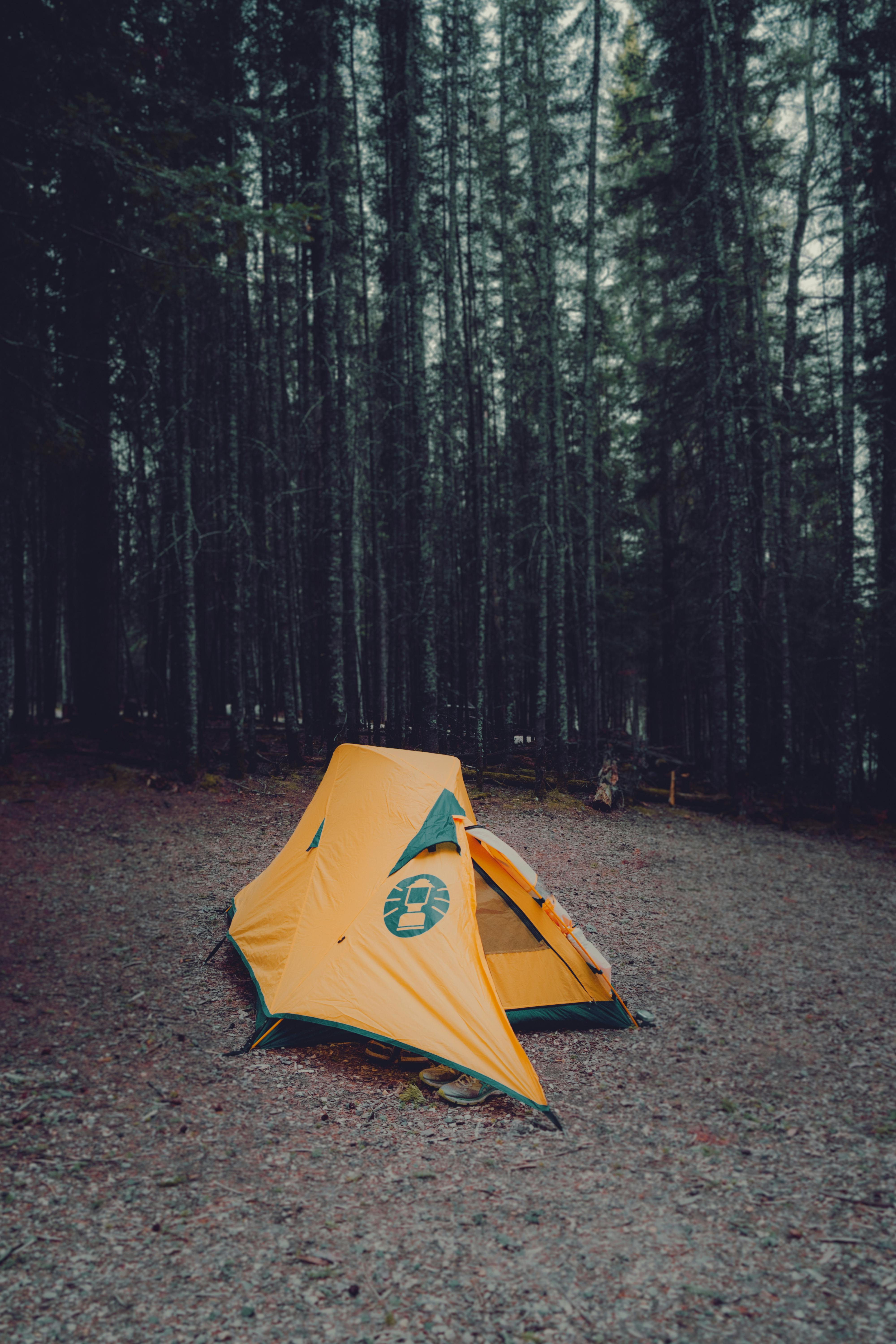Yellow Tent in the Forest · Free Stock Photo