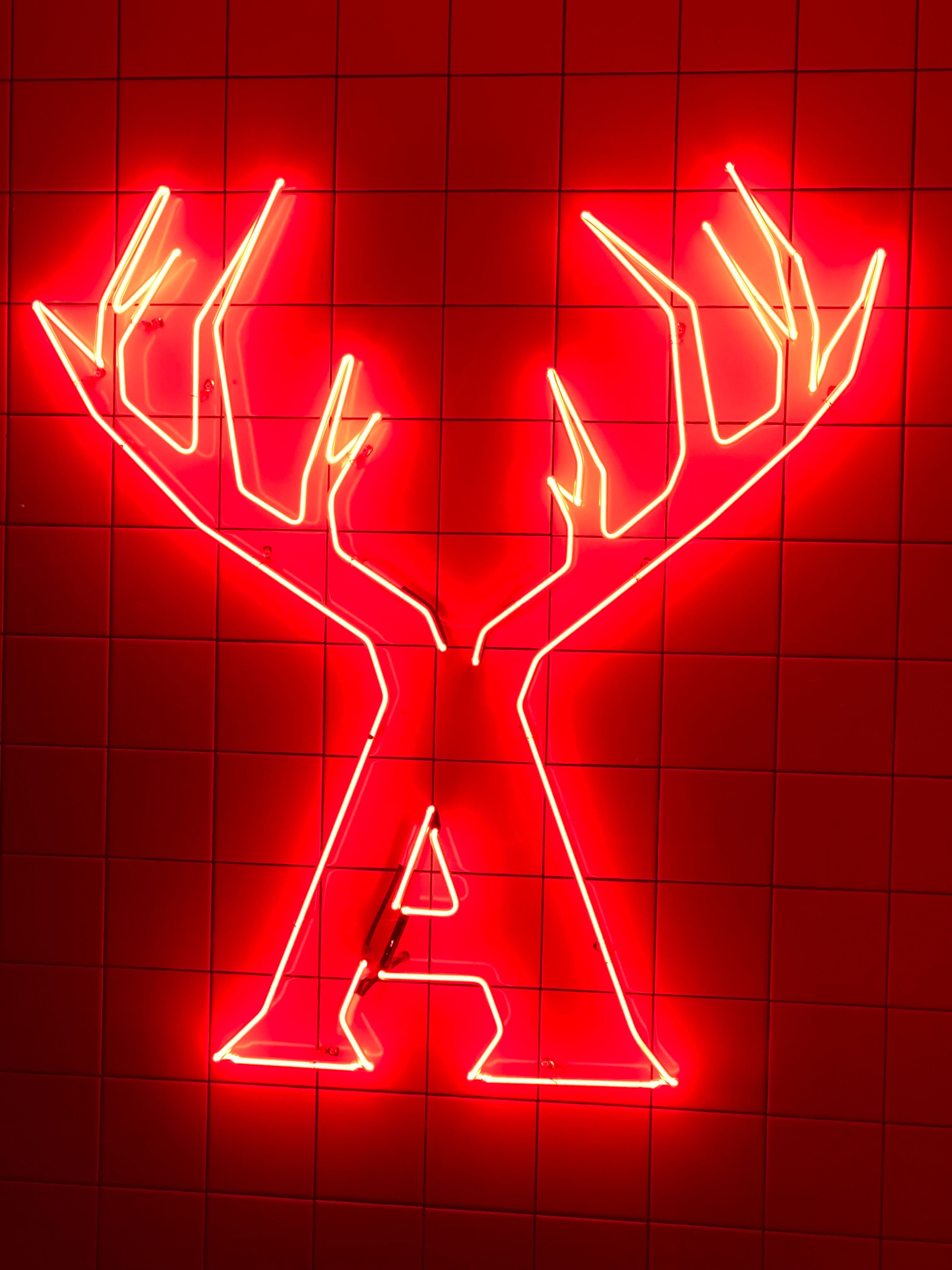 Red Neon Sign Inside a Club · Free Stock Photo