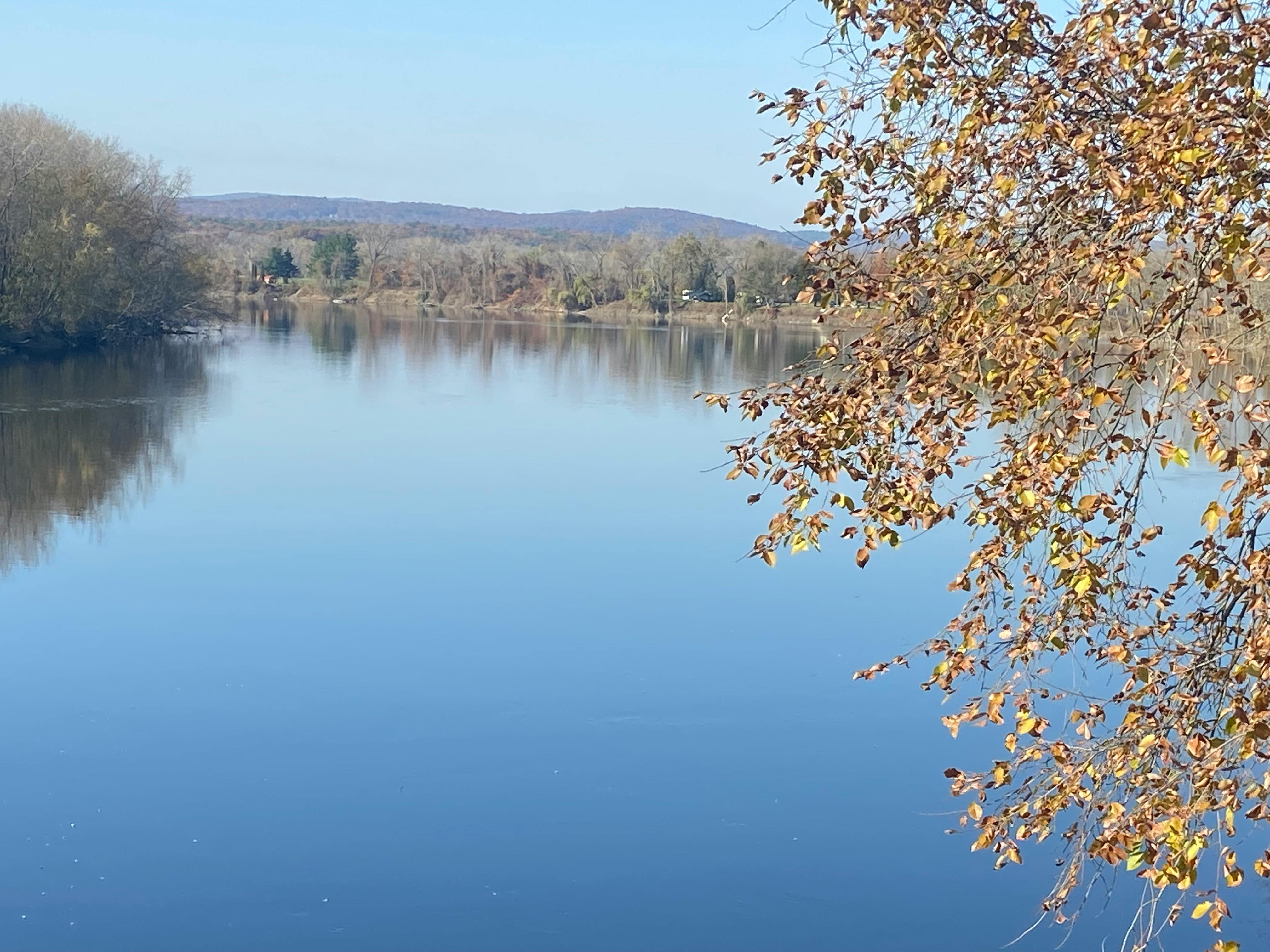 Lahcen Amazigh - 사진