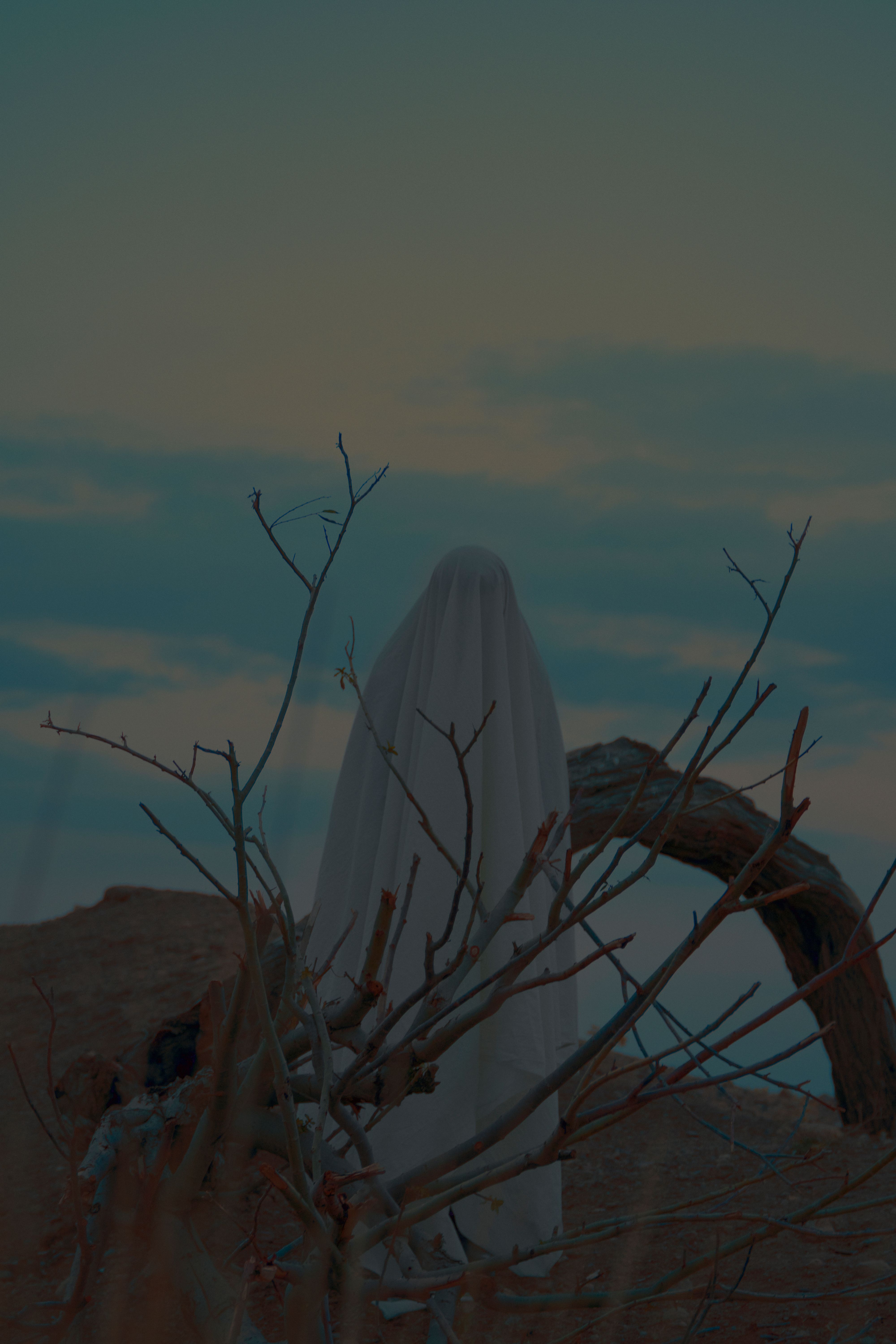 Blanket Ghost Photos, Download The BEST Free Blanket Ghost Stock Photos ...