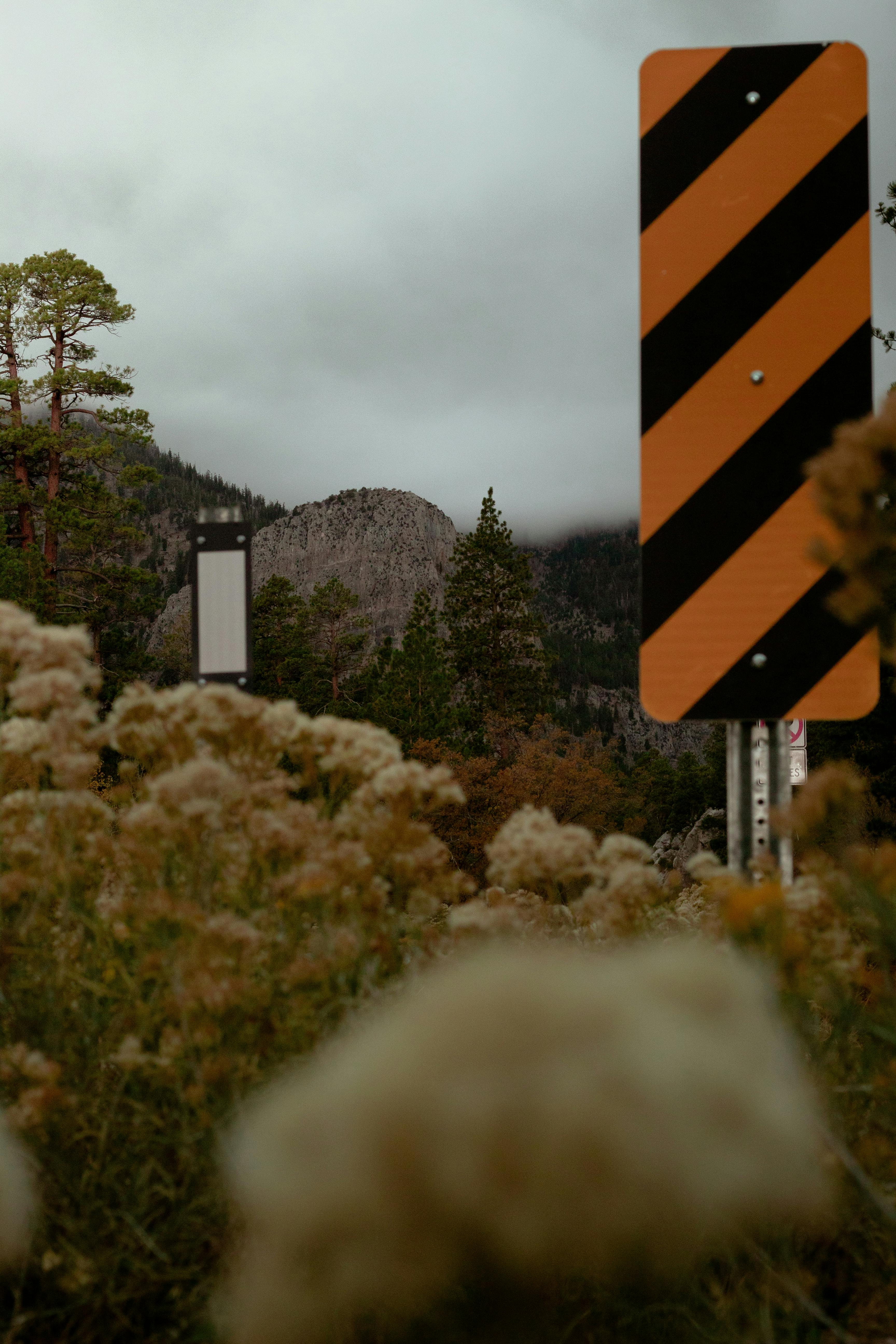 Nathan Bridges – Fotografie