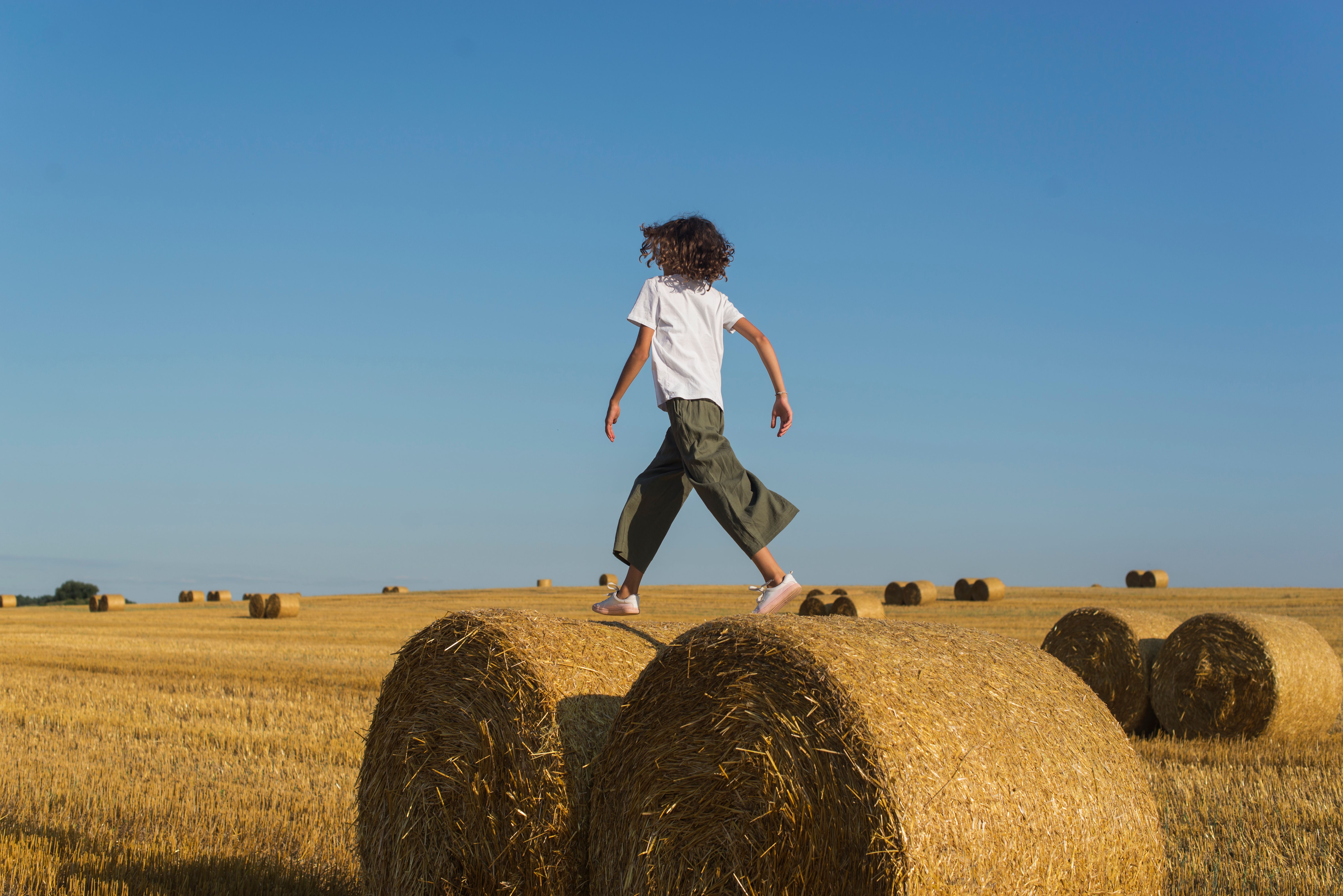A Person Pushing a Bale of Hay · Free Stock Photo