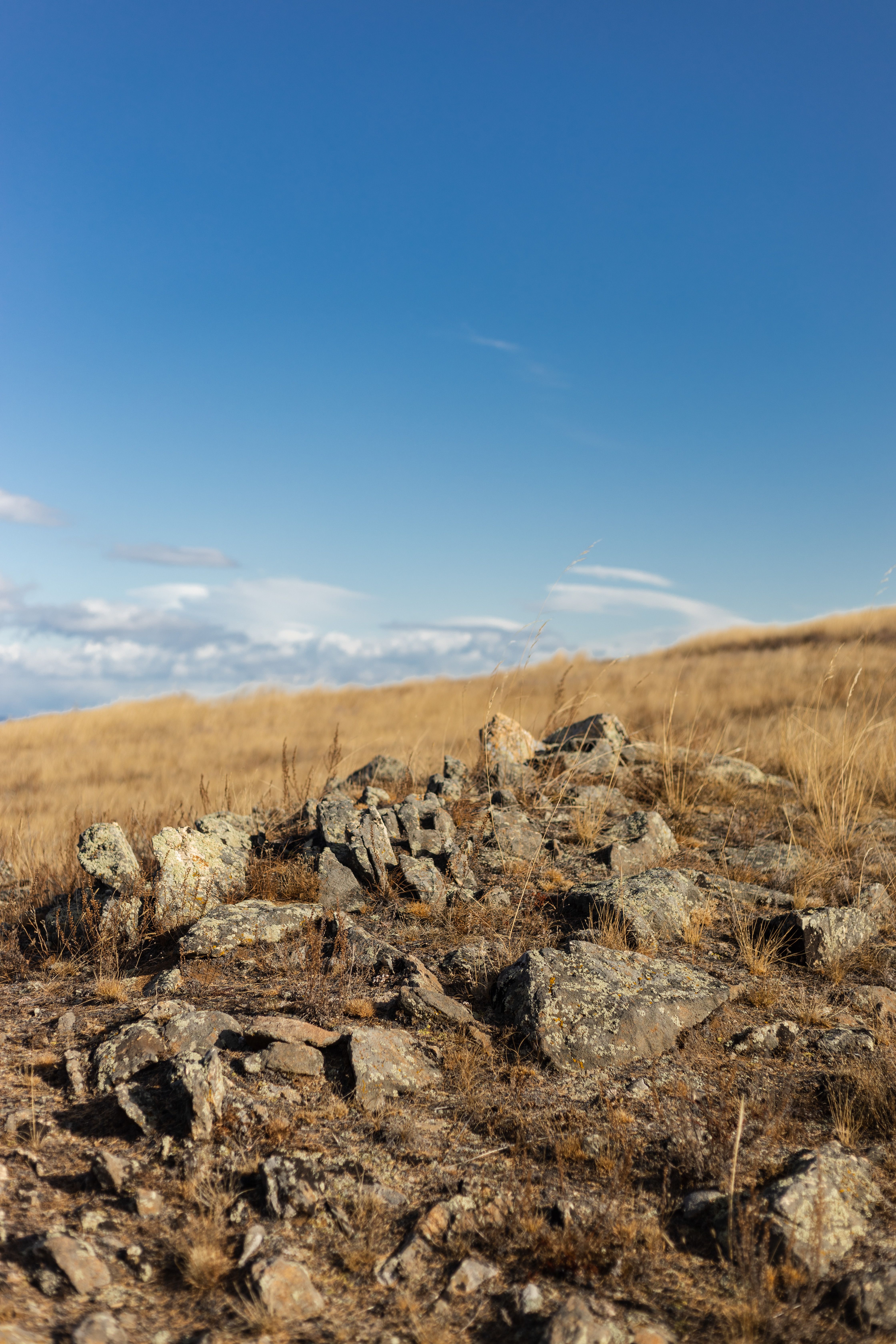 Rocky Grass Field Under Blue Sky · Free Stock Photo