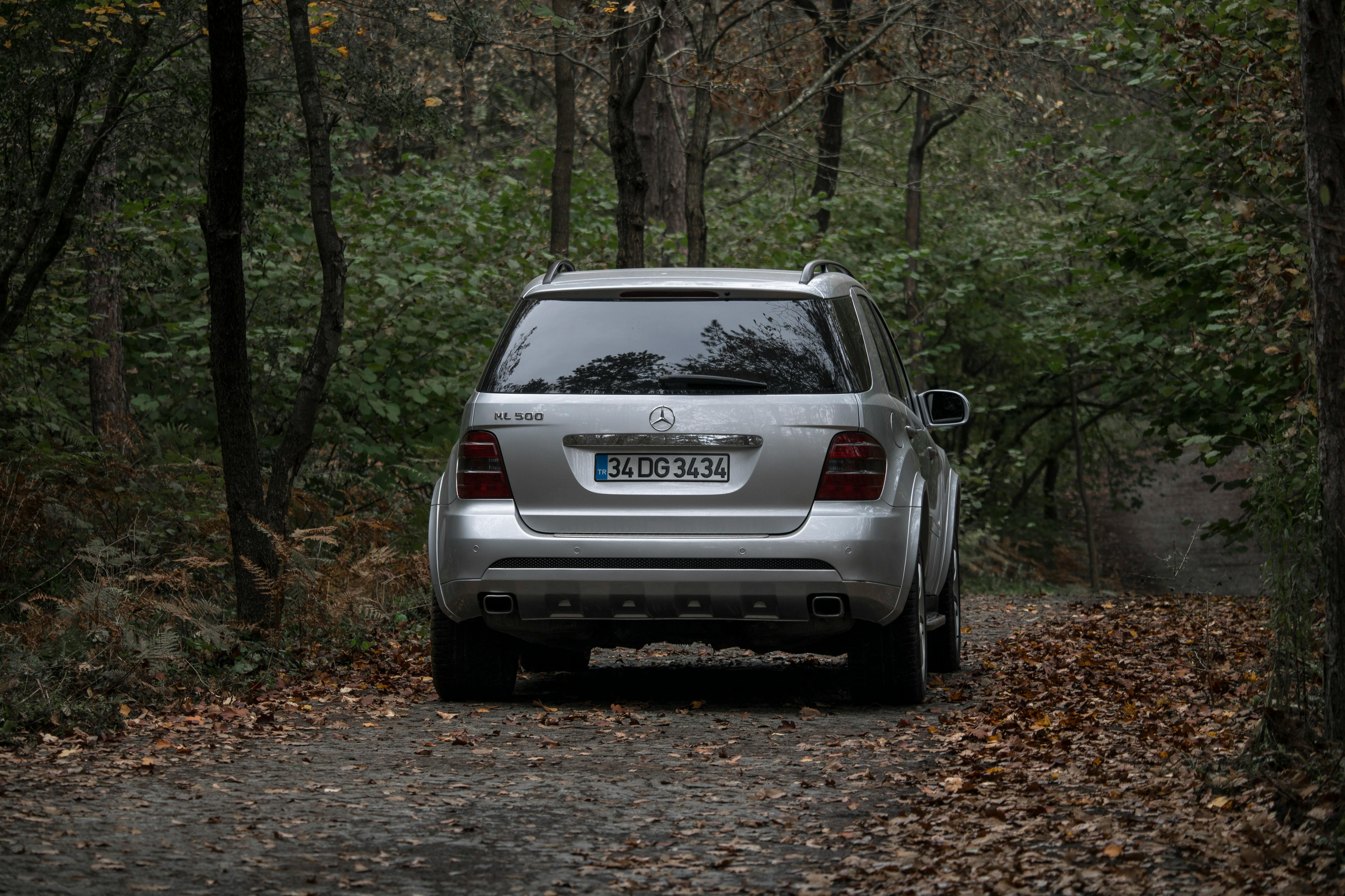 Back View Shot of Moving Car in the Forest · Free Stock Photo