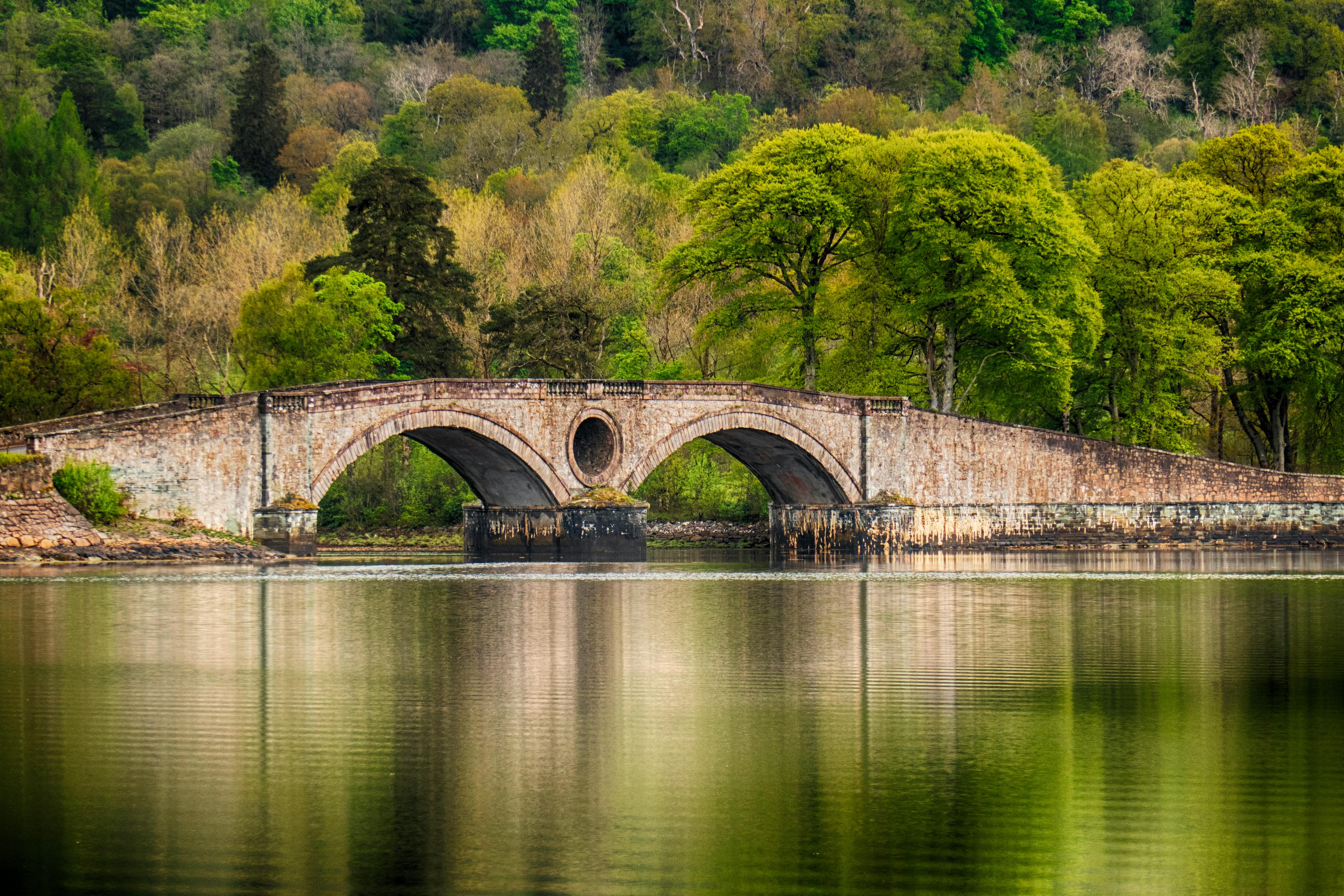 Bridge over a Lake during Day Time · Free Stock Photo