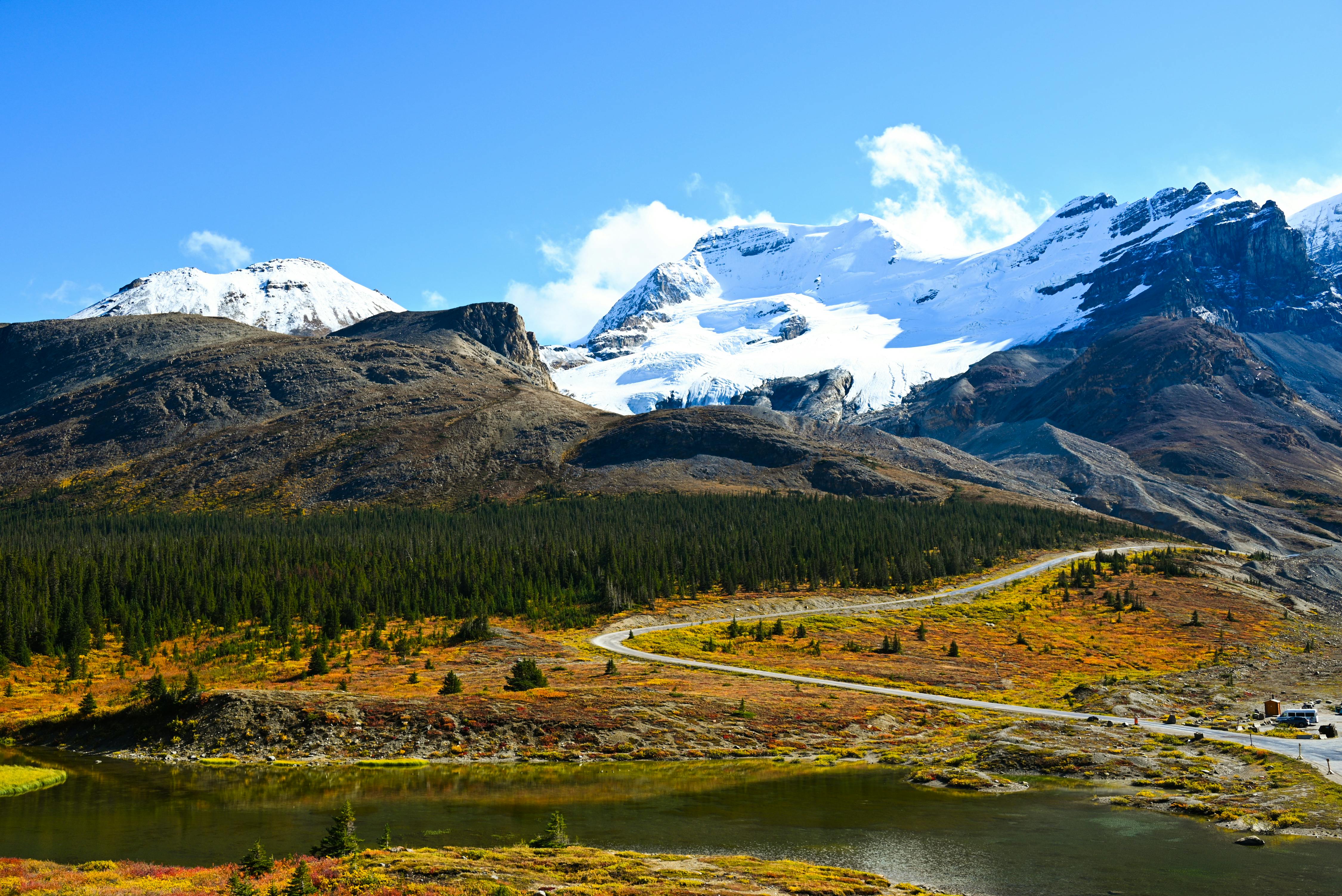 A River near the Land with Pine Trees and Snow Capped Mountains · Free ...