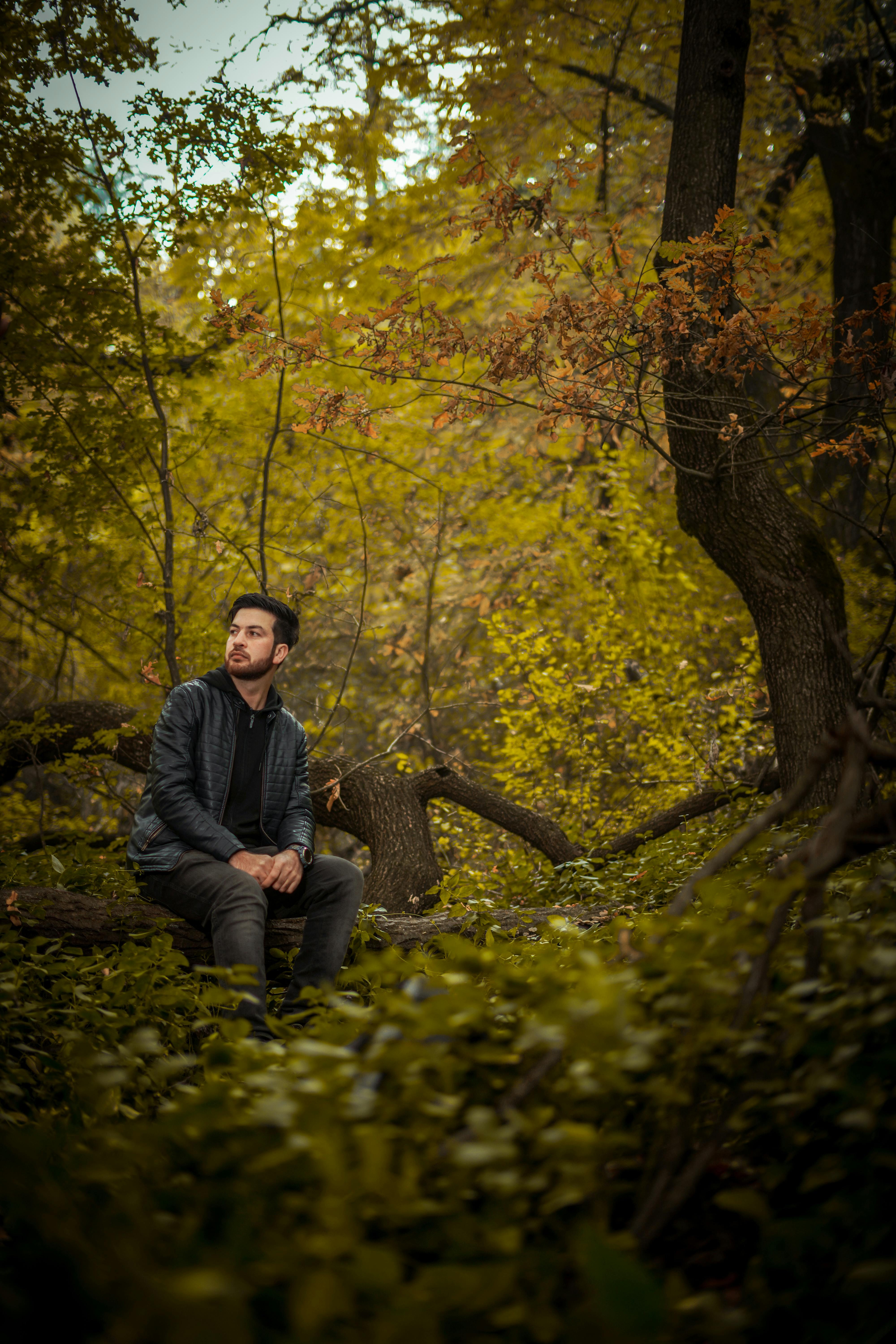A Man in Black Jacket Sitting on Tree Log · Free Stock Photo