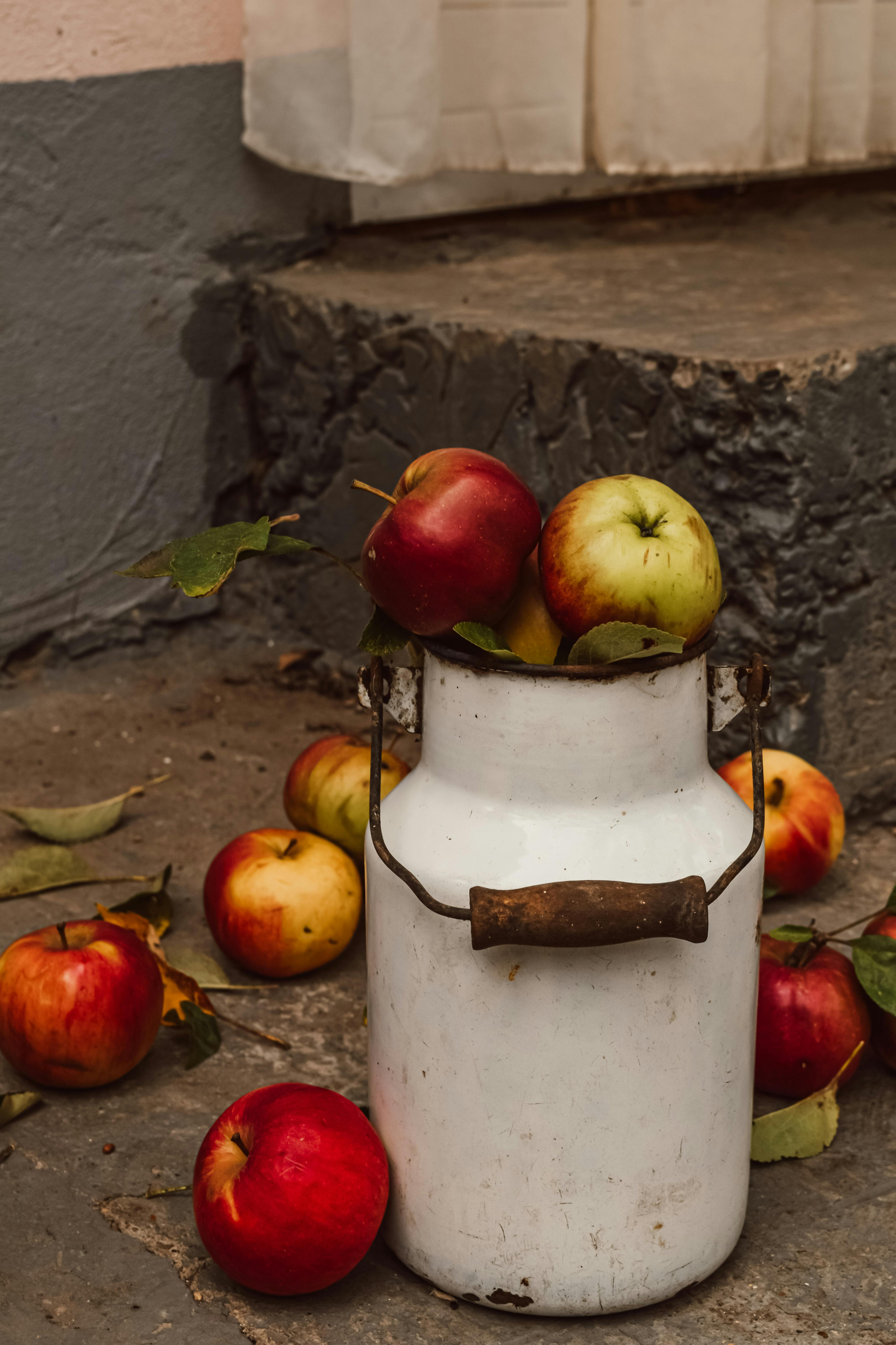 Apple Cider Jug Photos, Download The BEST Free Apple Cider Jug Stock ...