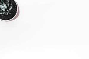 500,000+ Best White Photos · 100% Free Download · Pexels Stock Photos