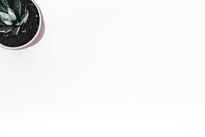 500,000+ Best White Photos · 100% Free Download · Pexels Stock Photos