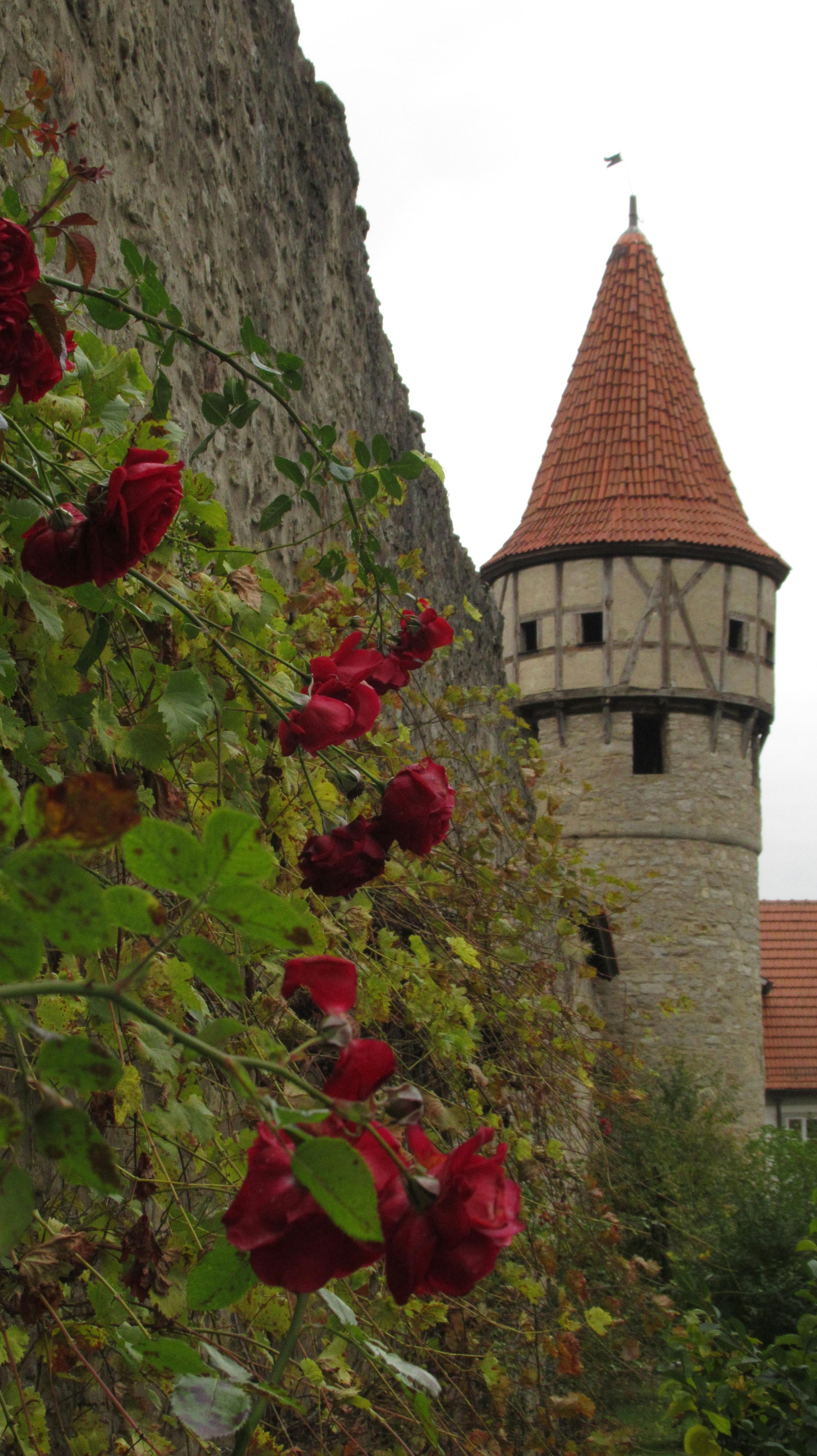 Rhön 21 Photos & Videos Collected by Jan Leichsenring