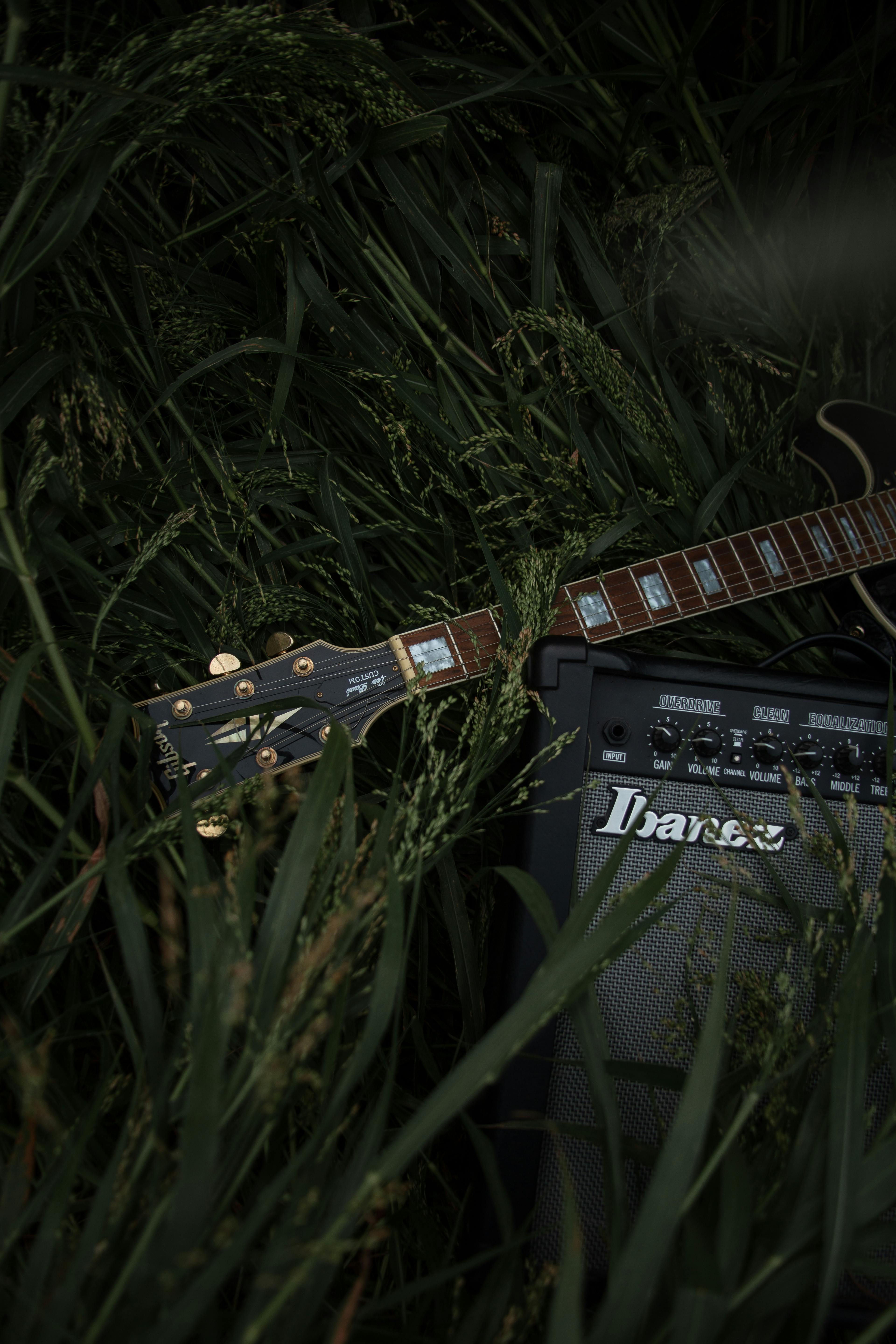 Electric Guitar and an Amplifier in Grass · Free Stock Photo