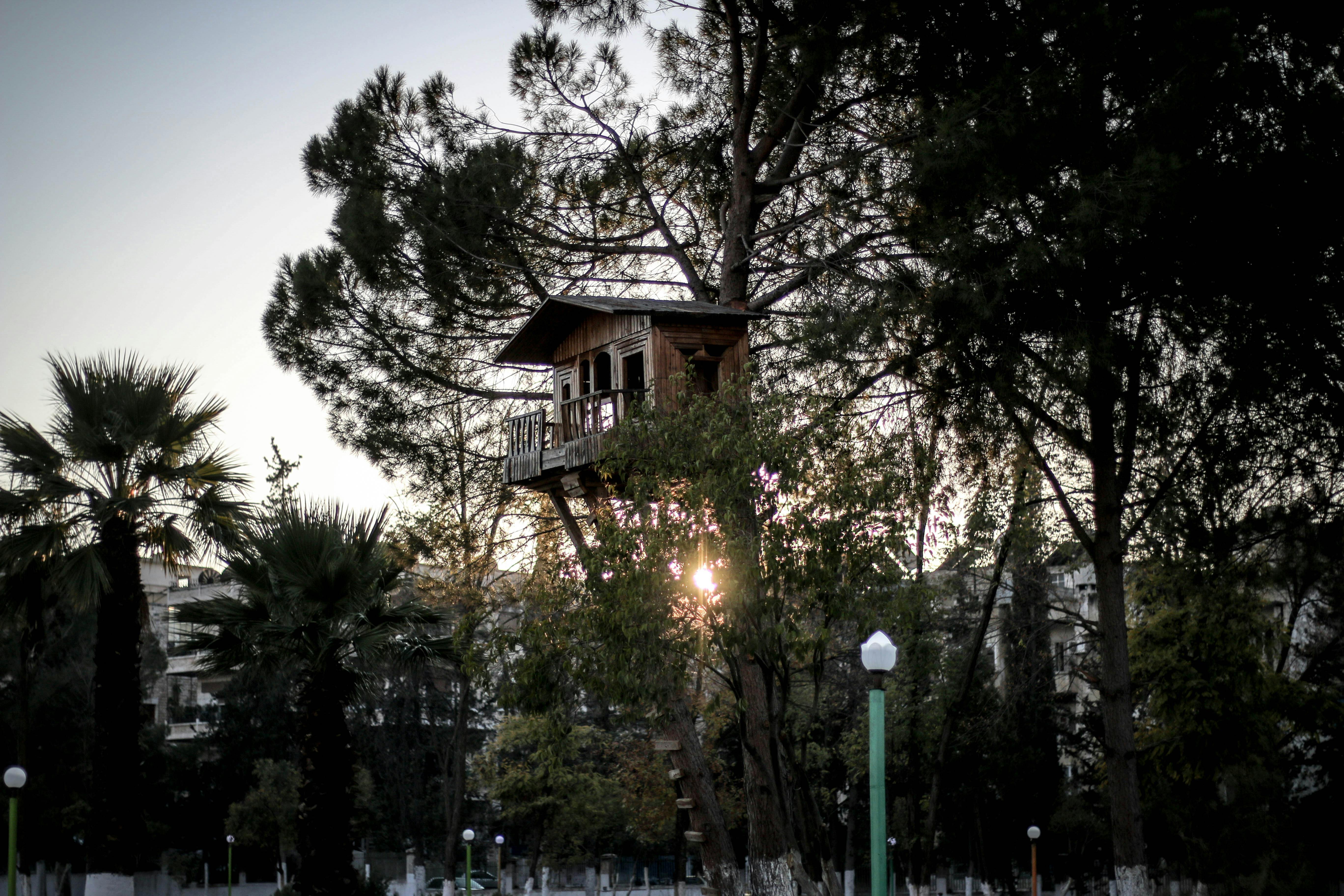 Syrian Park Photos, Download The BEST Free Syrian Park Stock Photos ...