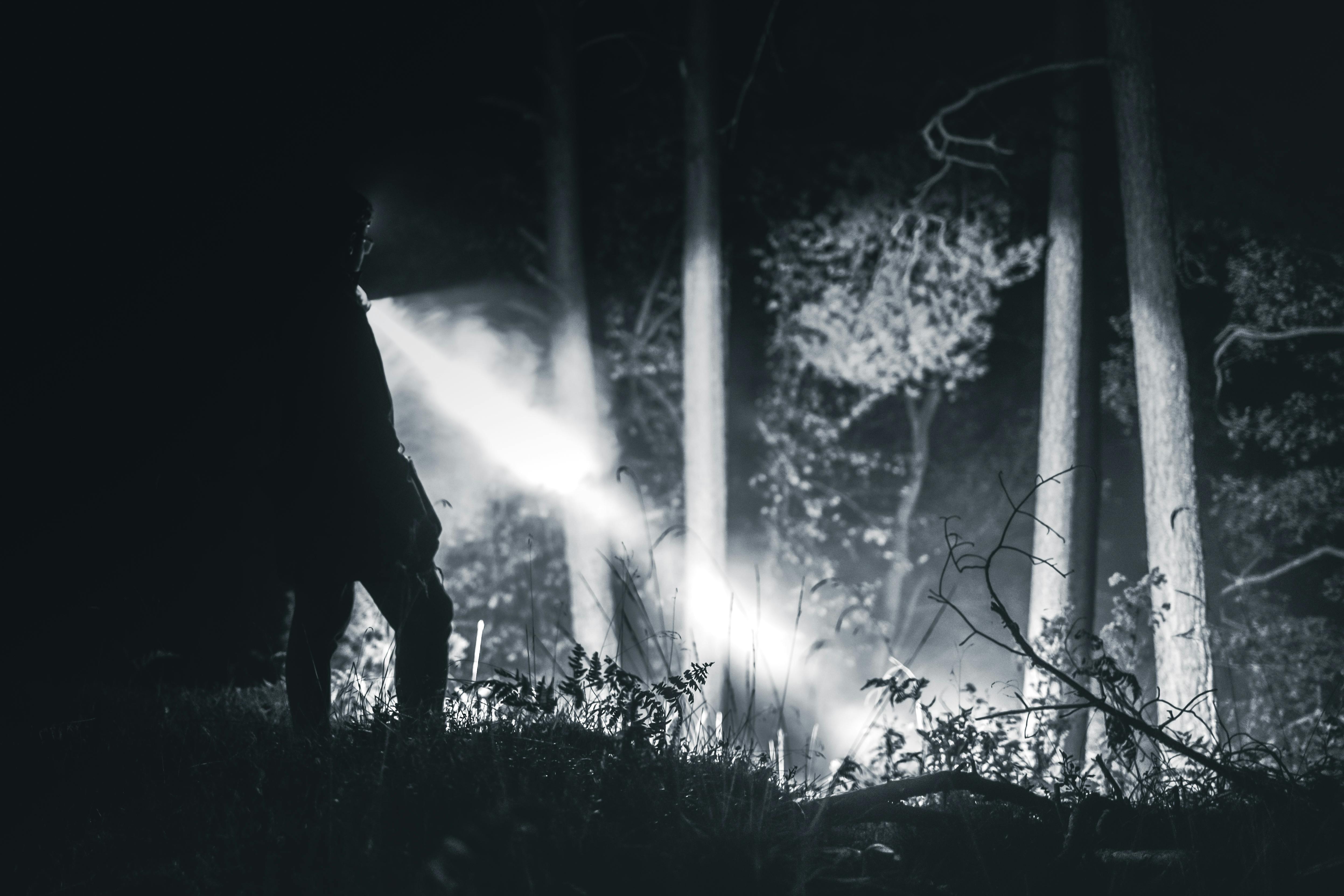 Forest Person Photos, Download Free Forest Person Stock Photos & HD Images