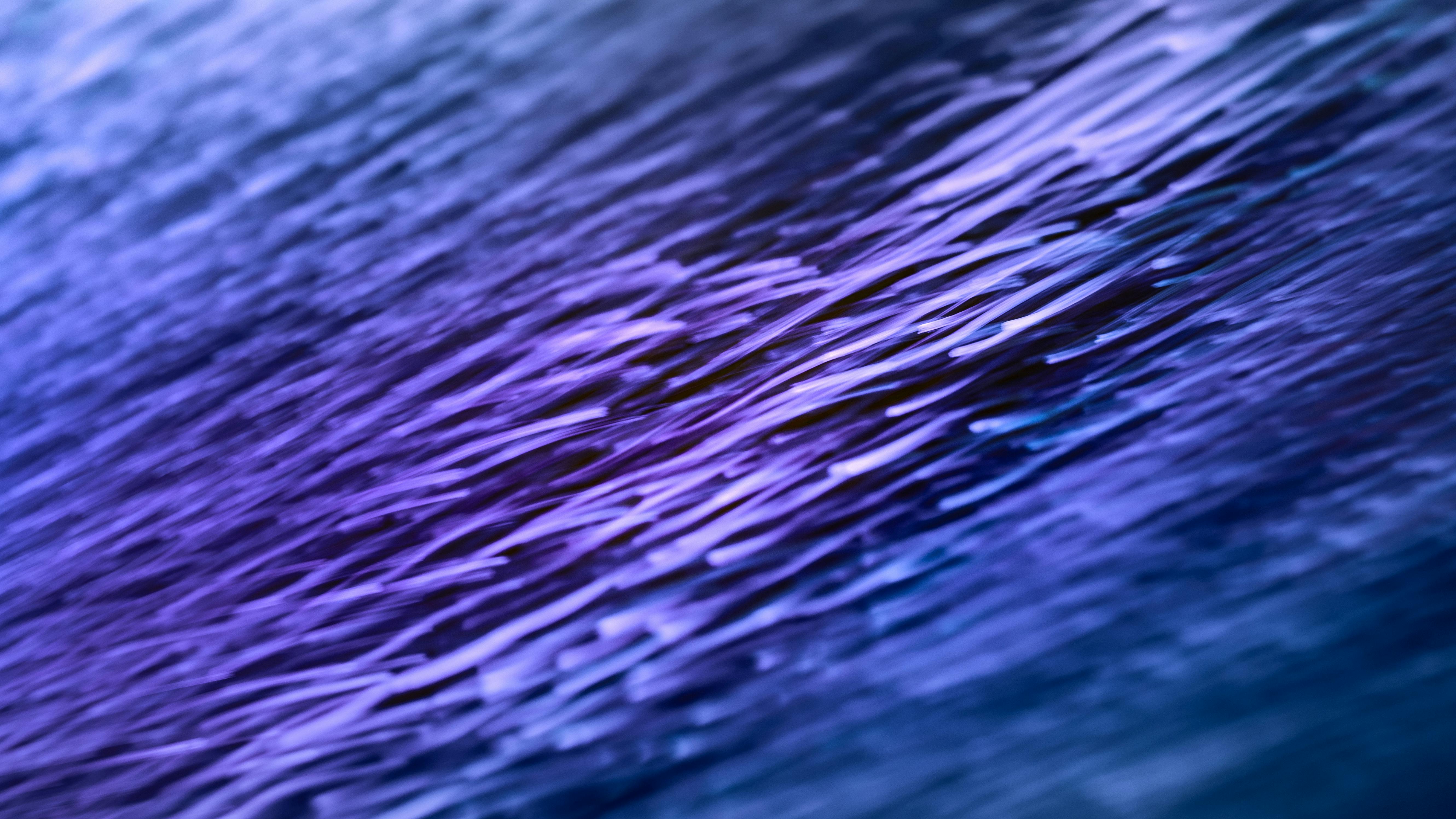 Purple Fibers in Close-up View · Free Stock Photo