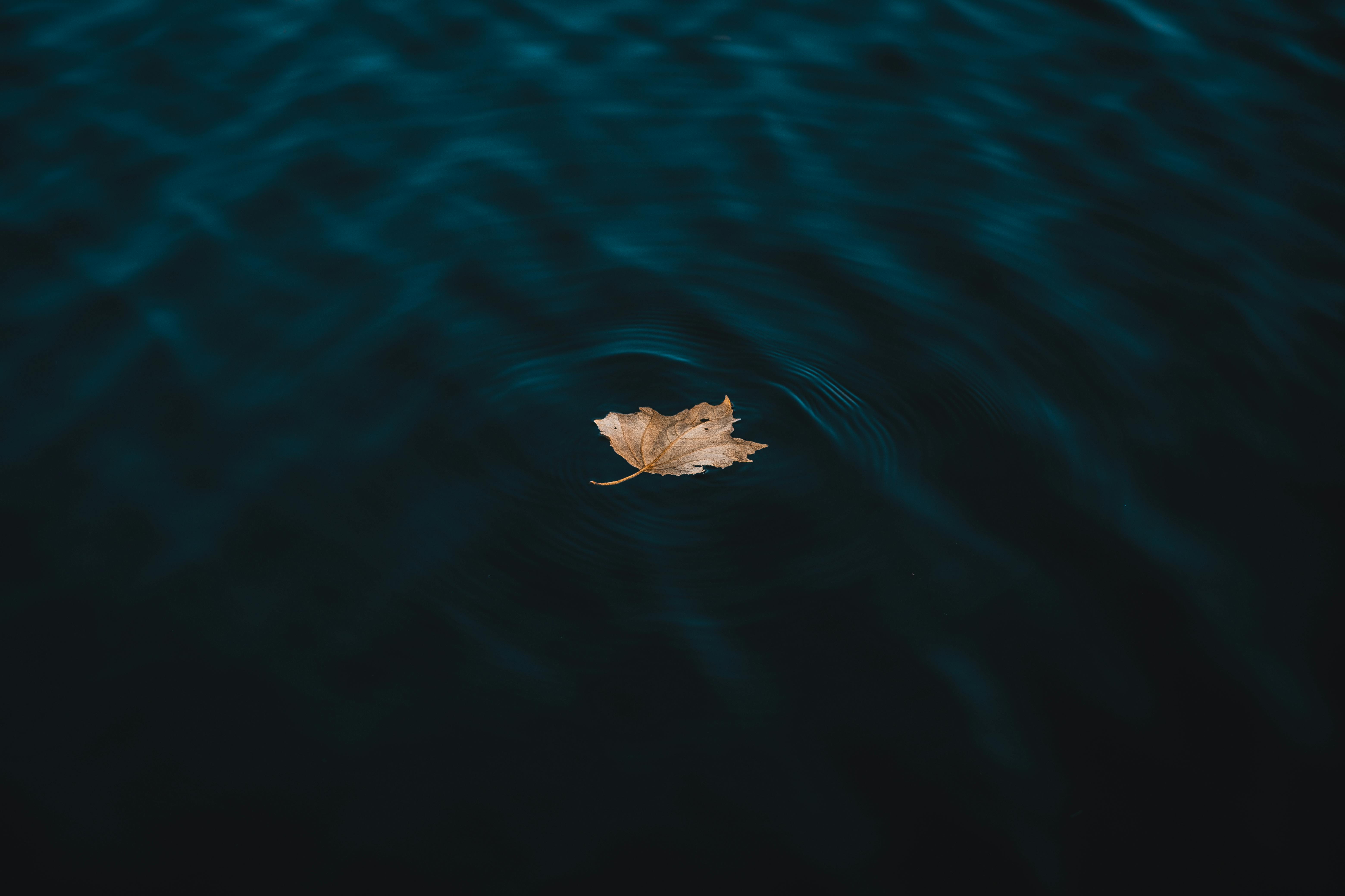 24+ Best Free Cyan Stock Photos & Images · 100% Royalty-Free HD Downloads