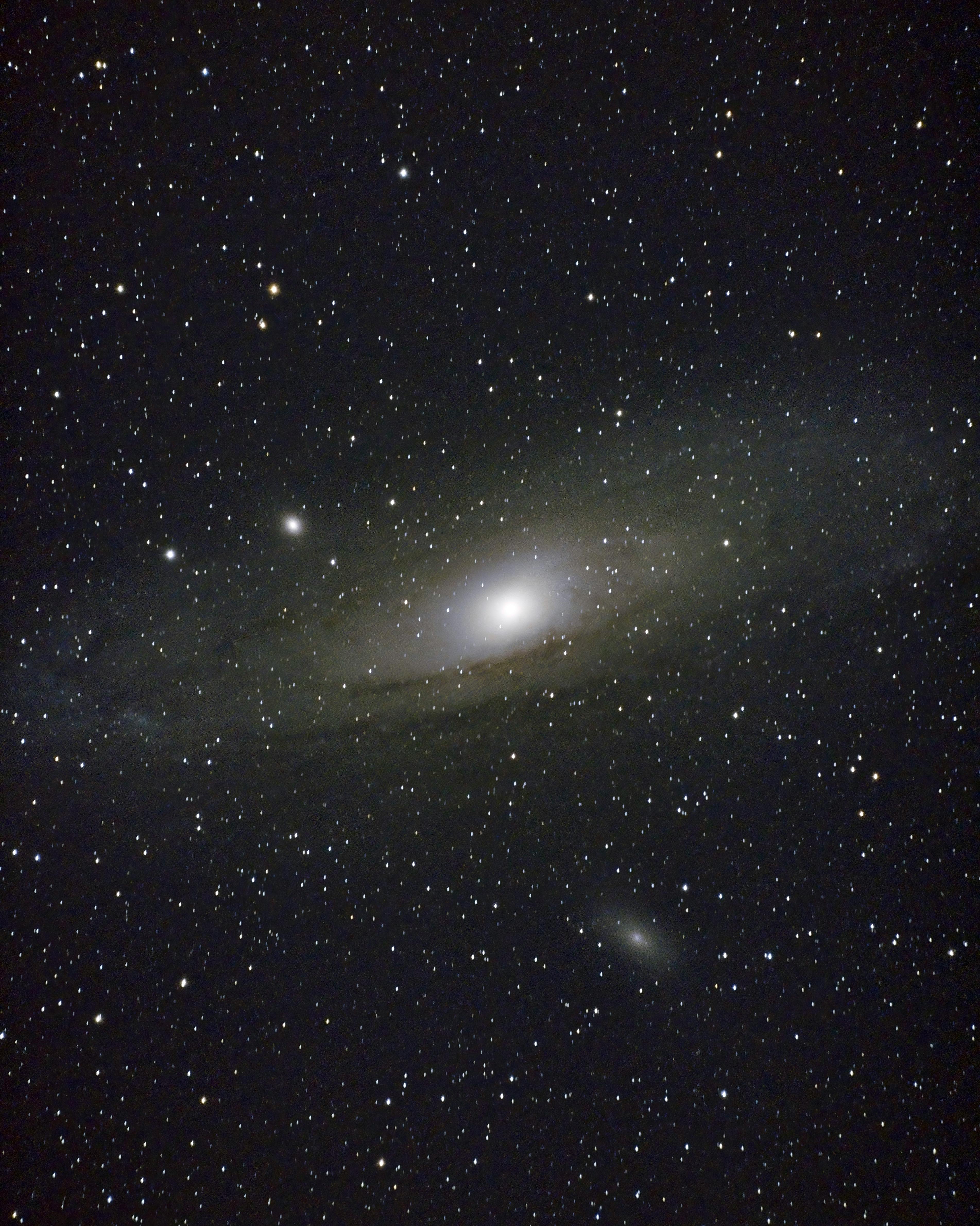 Stars Across the Night Sky · Free Stock Photo