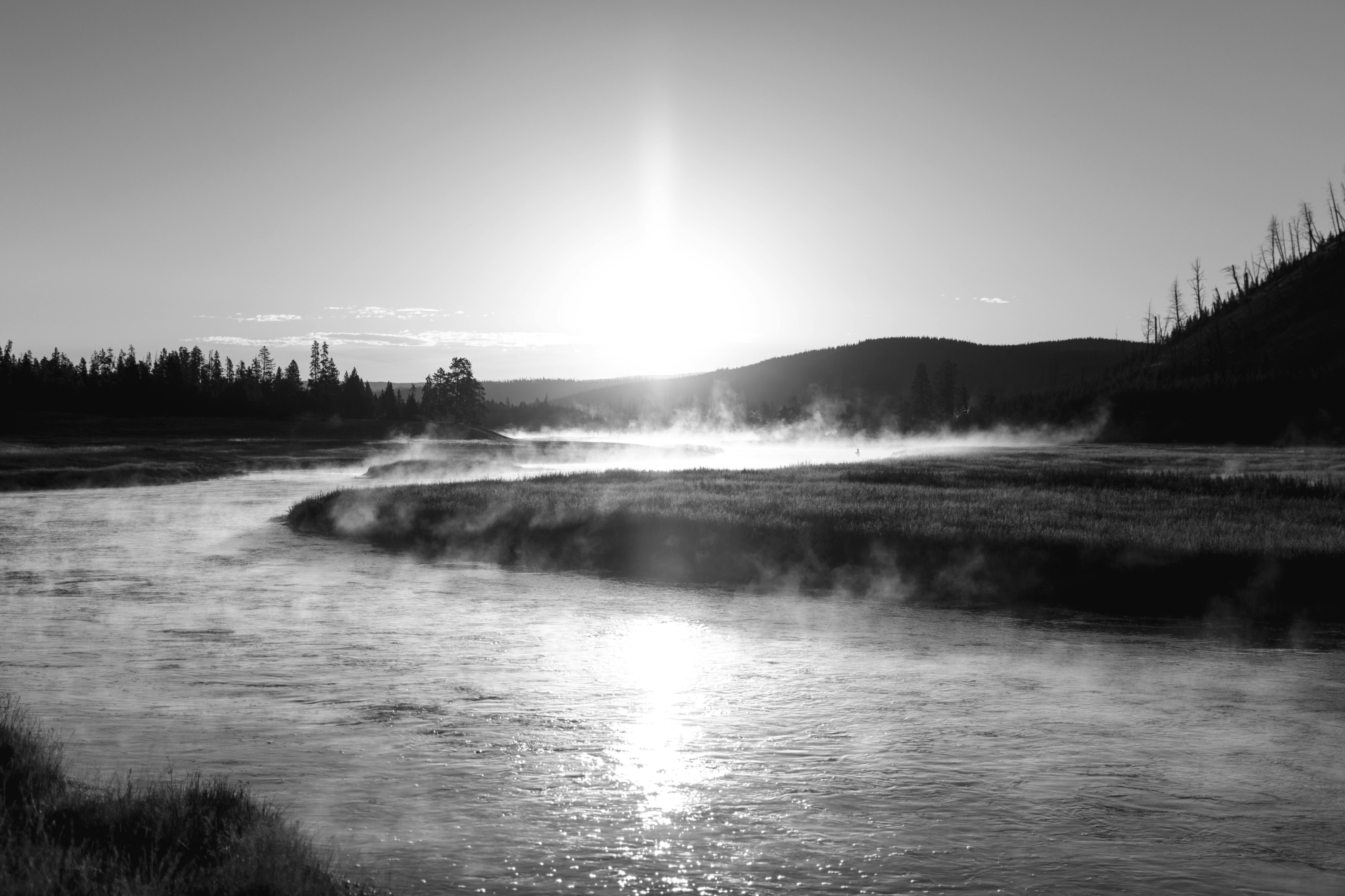 Grayscale Photography of River in Between Trees · Free Stock Photo
