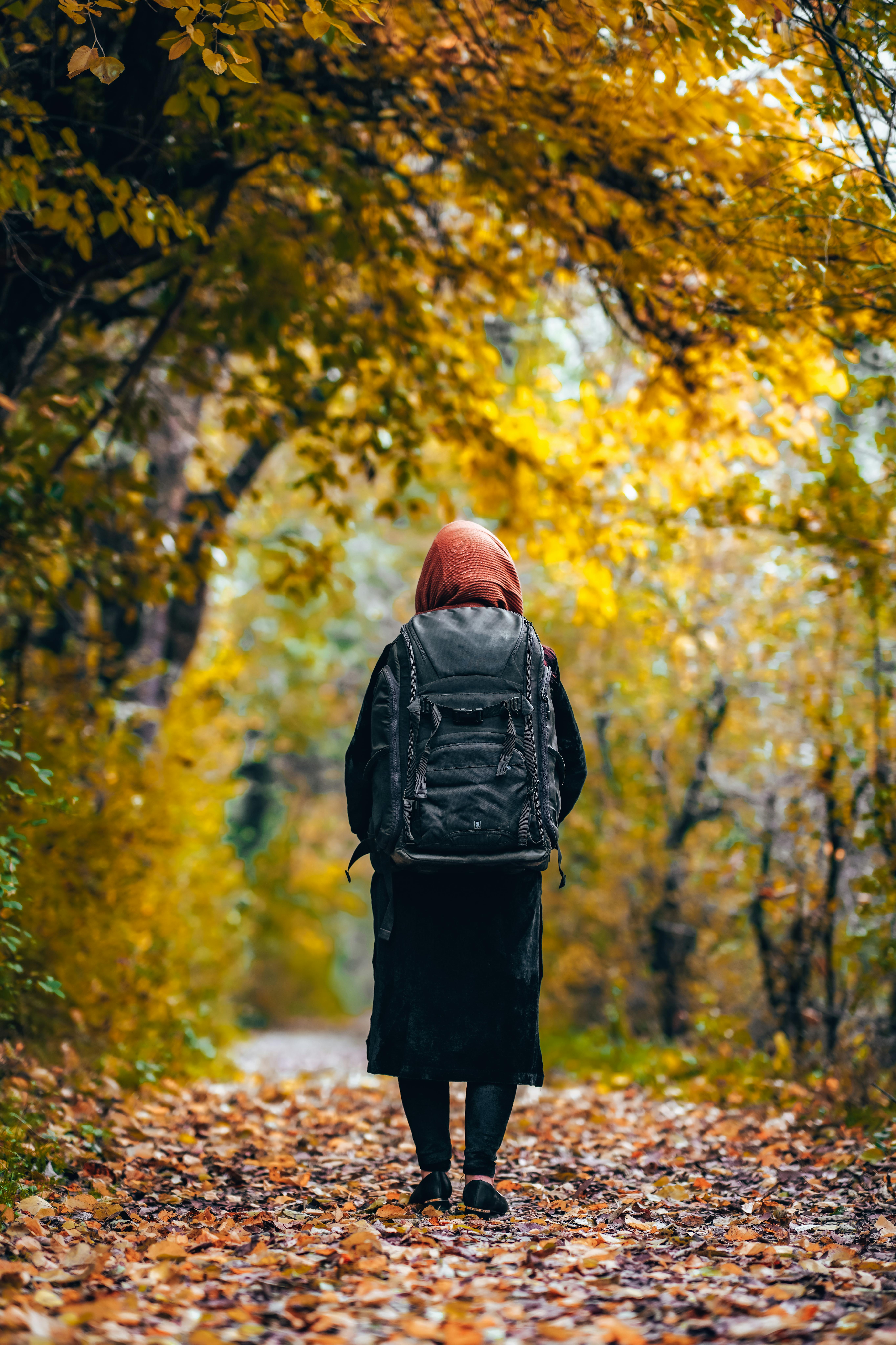 Person Walking on Path Near Trees · Free Stock Photo