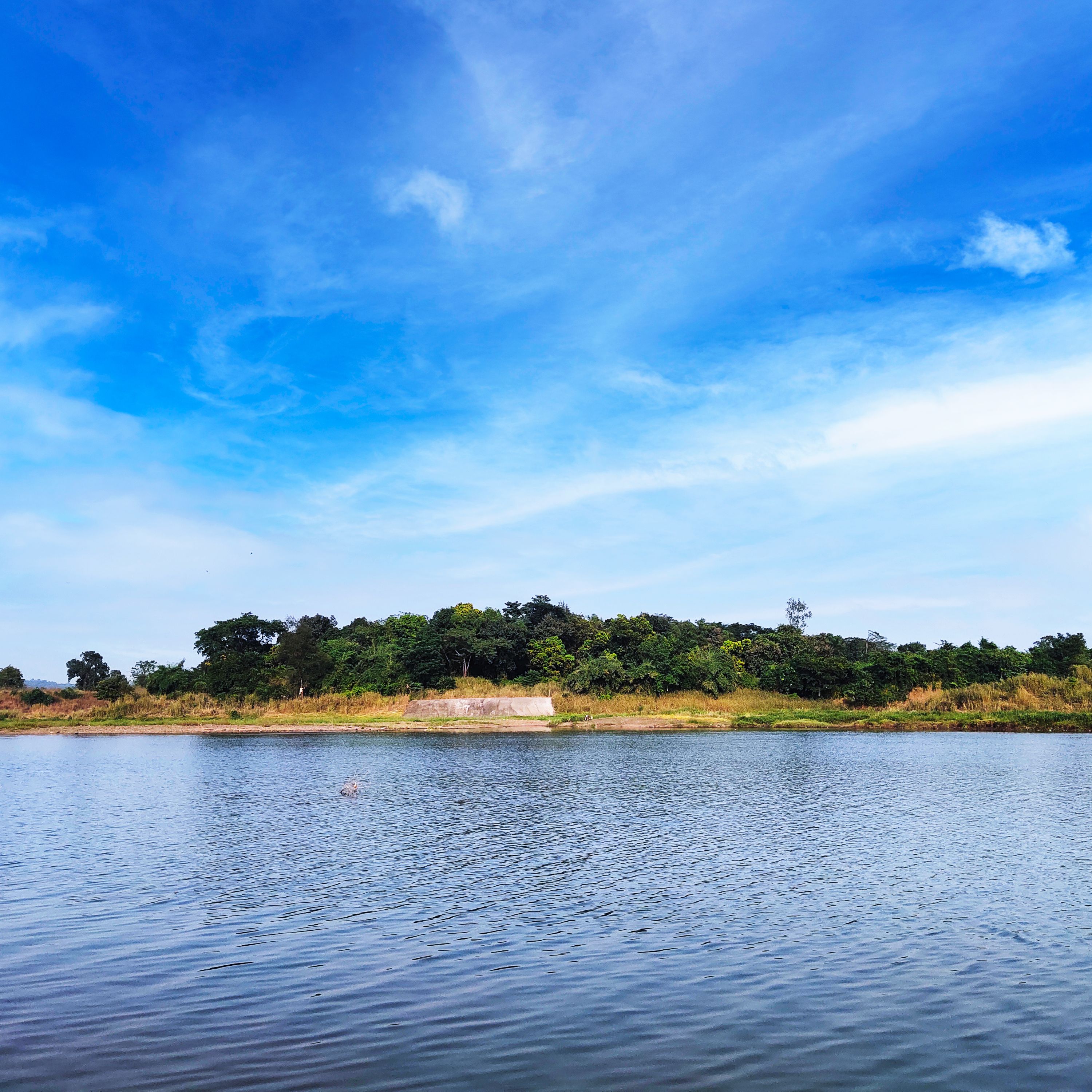 View of a Lakeshore · Free Stock Photo